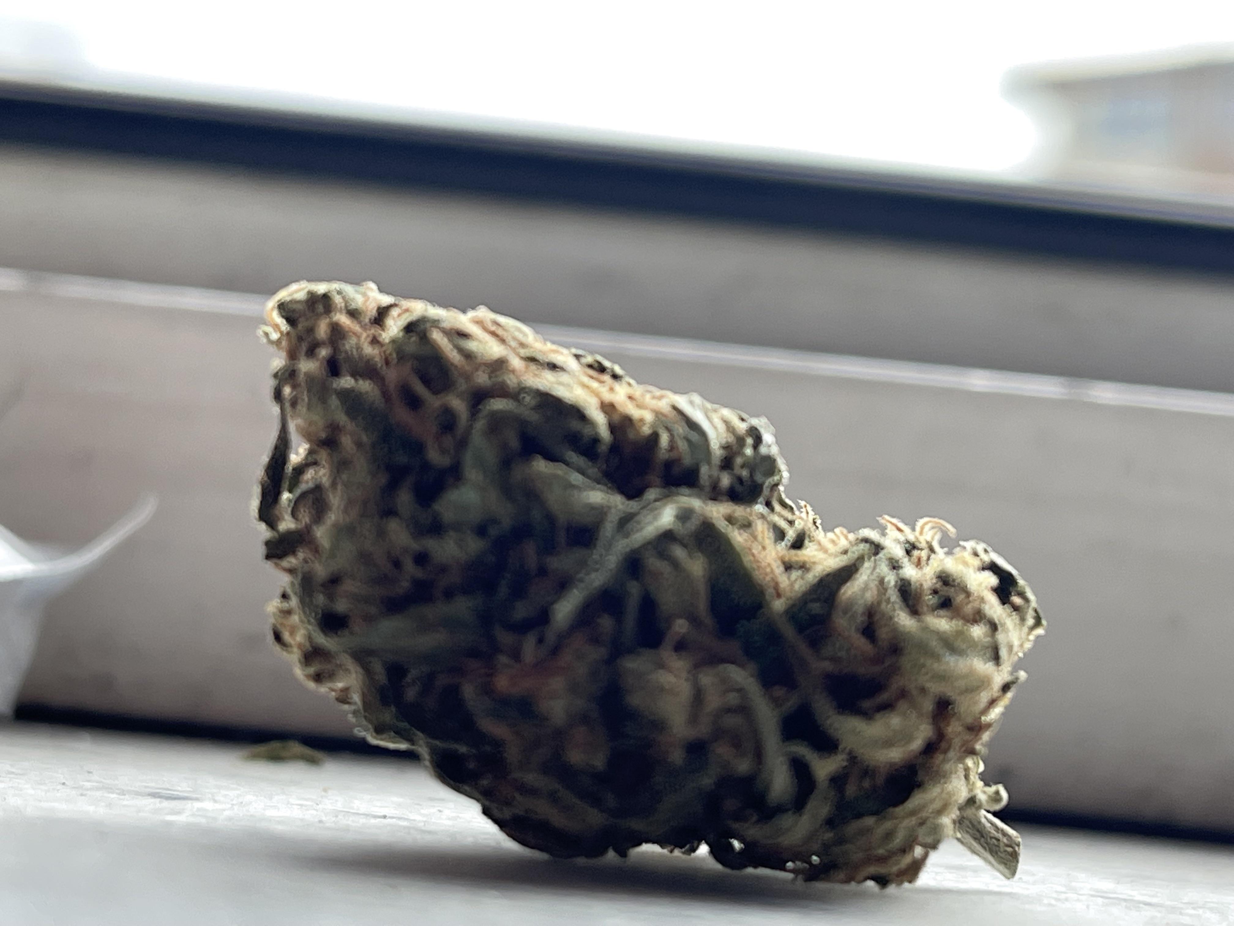 Has anybody here ever tried Albanian natural-grown weed? | Scrolller