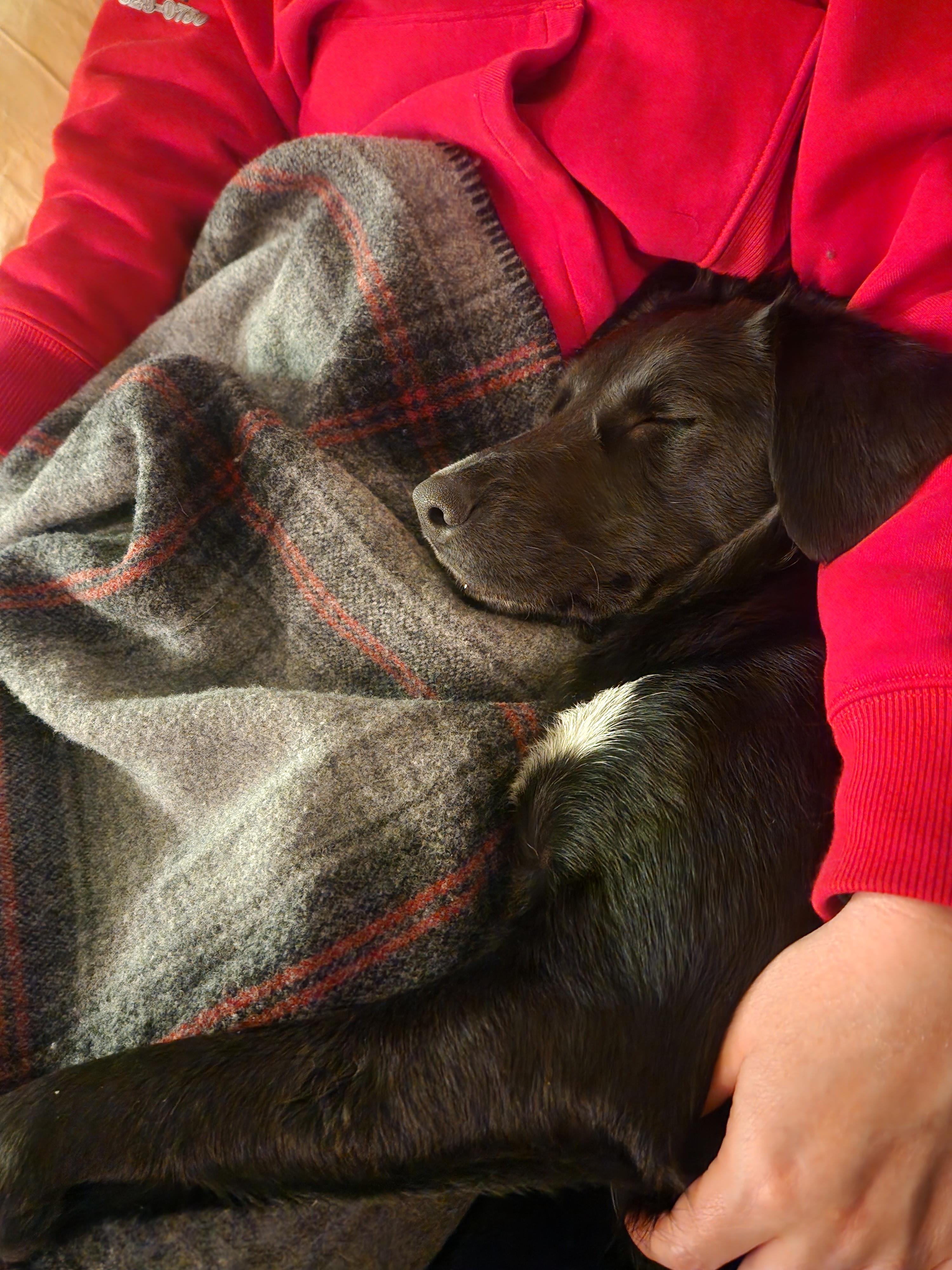 (OC) so comfy | Scrolller