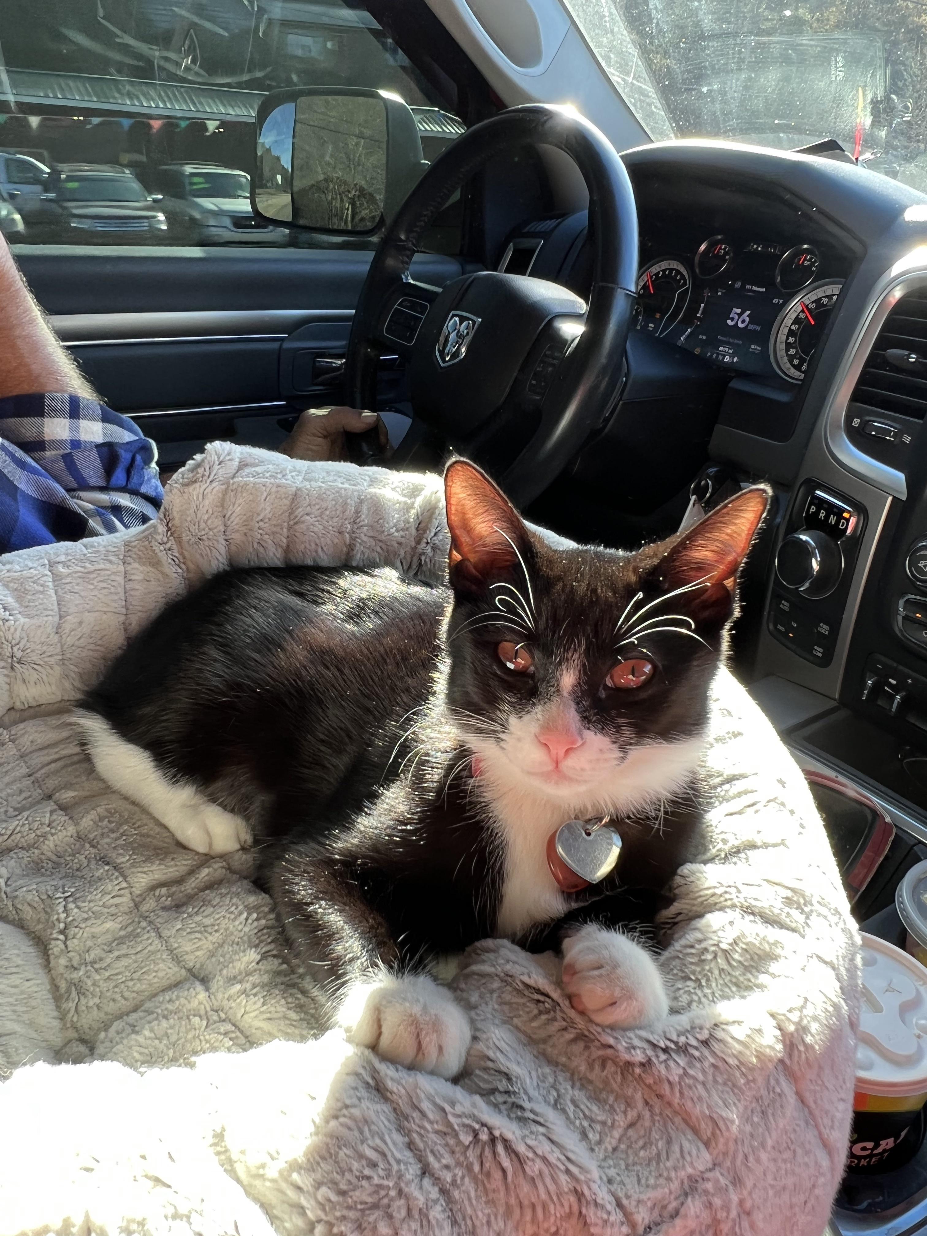 Road trip | Scrolller