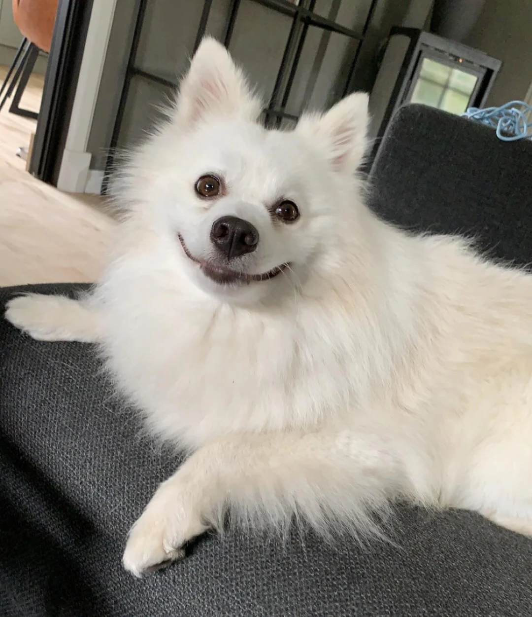 ”Why so serious?” | Scrolller