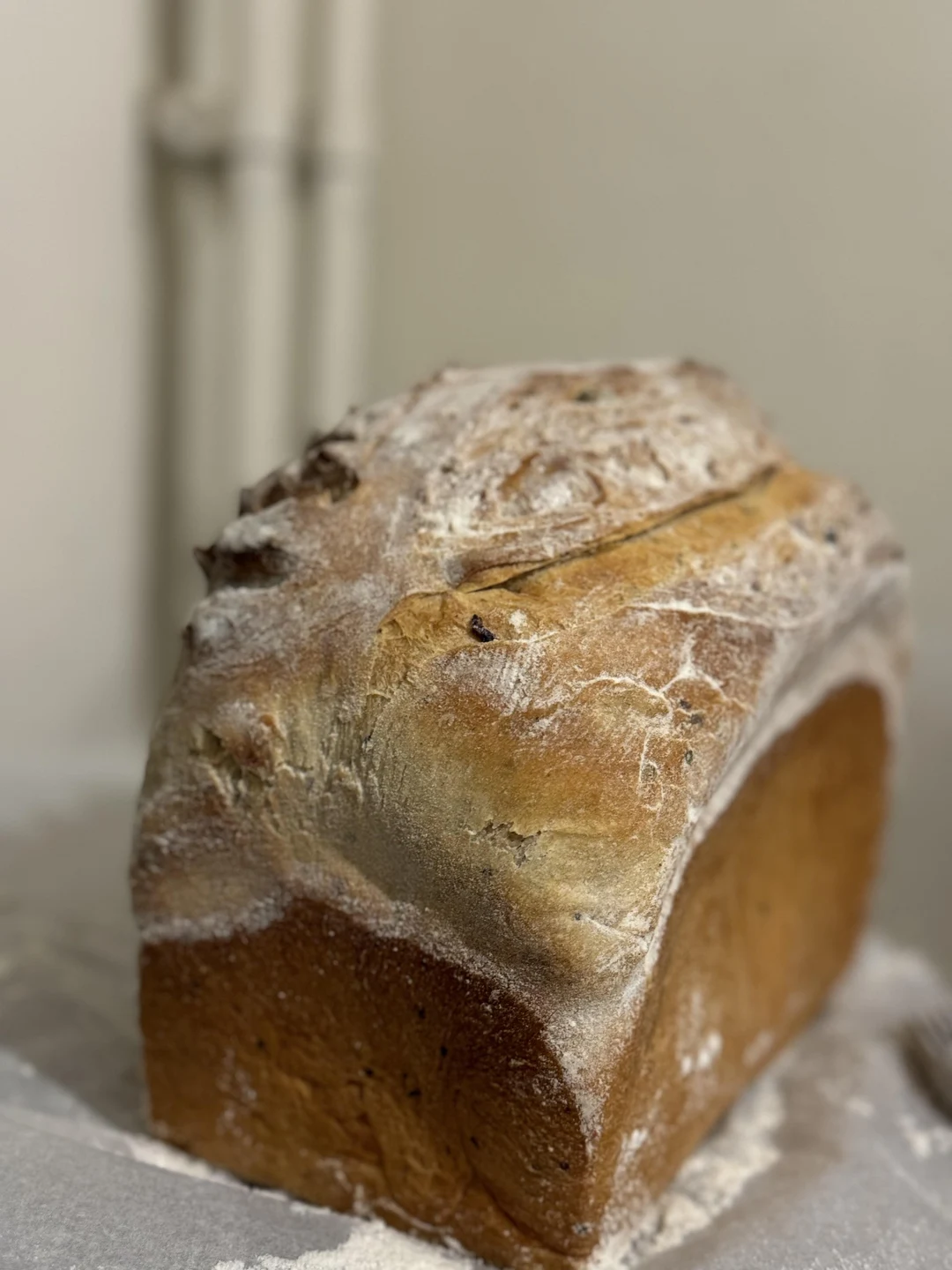 Sourdough discard sandwich bread | Scrolller