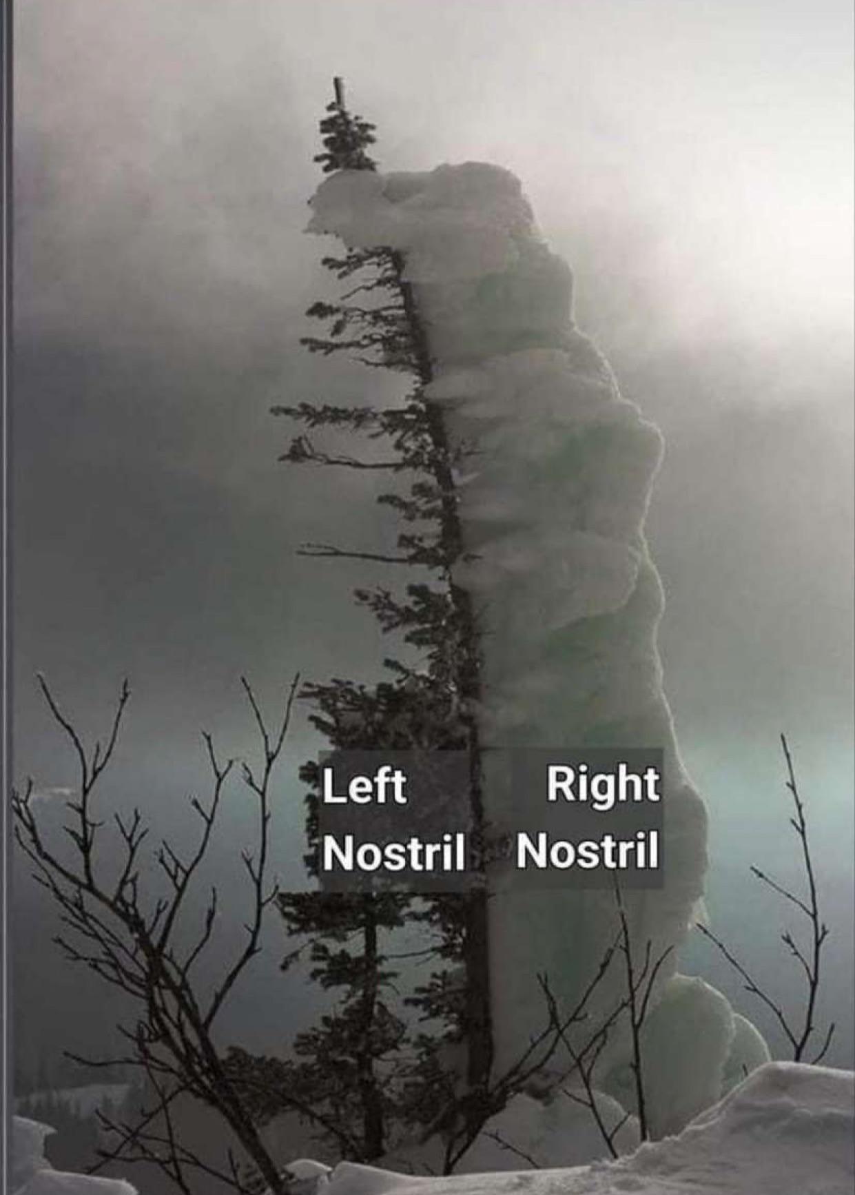 thats how it is sometimes | Scrolller