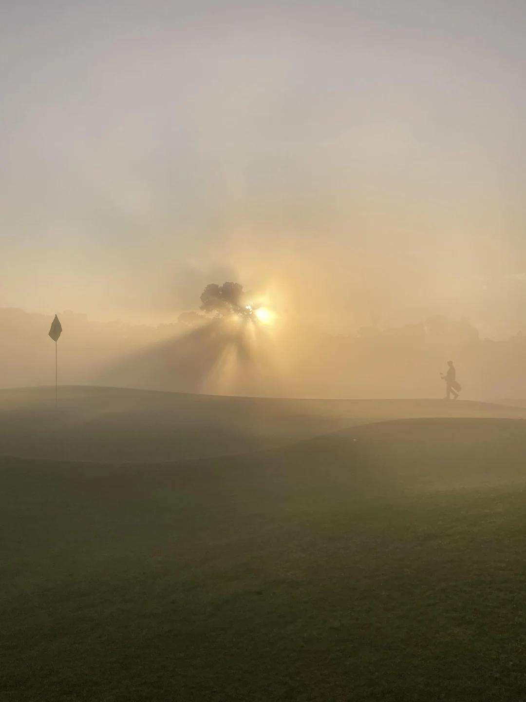 Thick fog at Torrey Pines | Scrolller