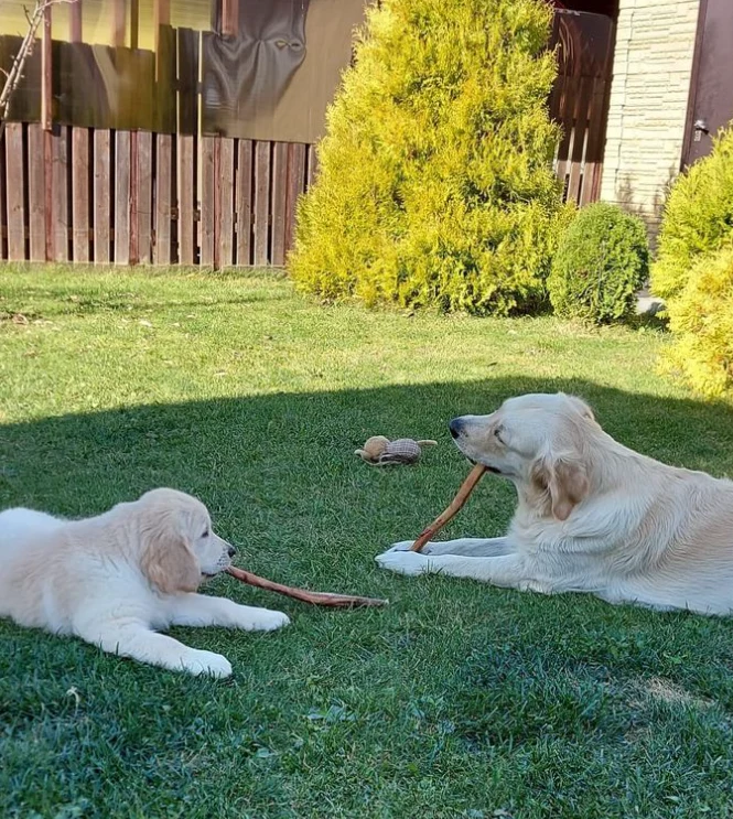 Bonding time with Aurora and Cindy | Scrolller