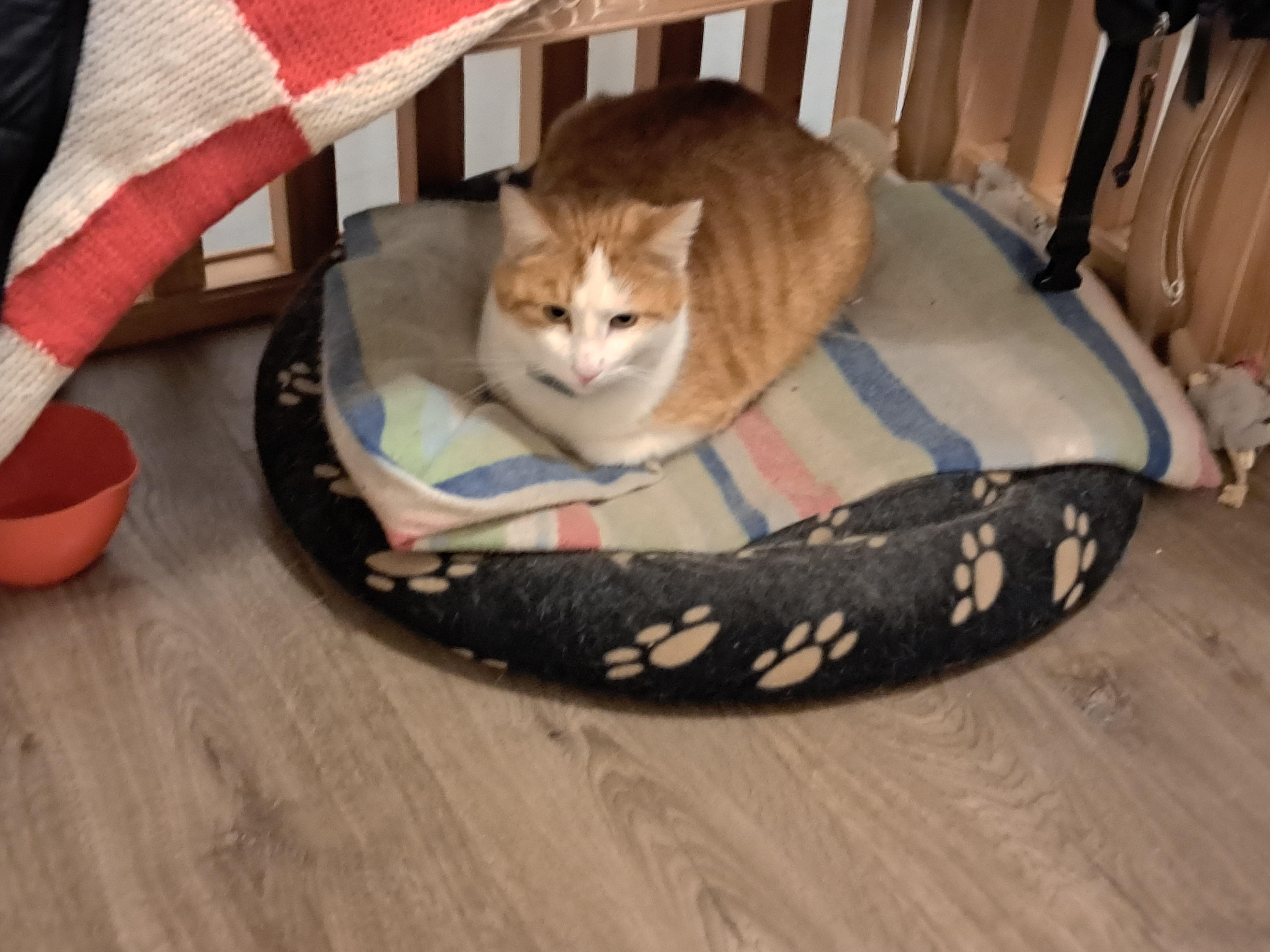 Perfect loaf | Scrolller
