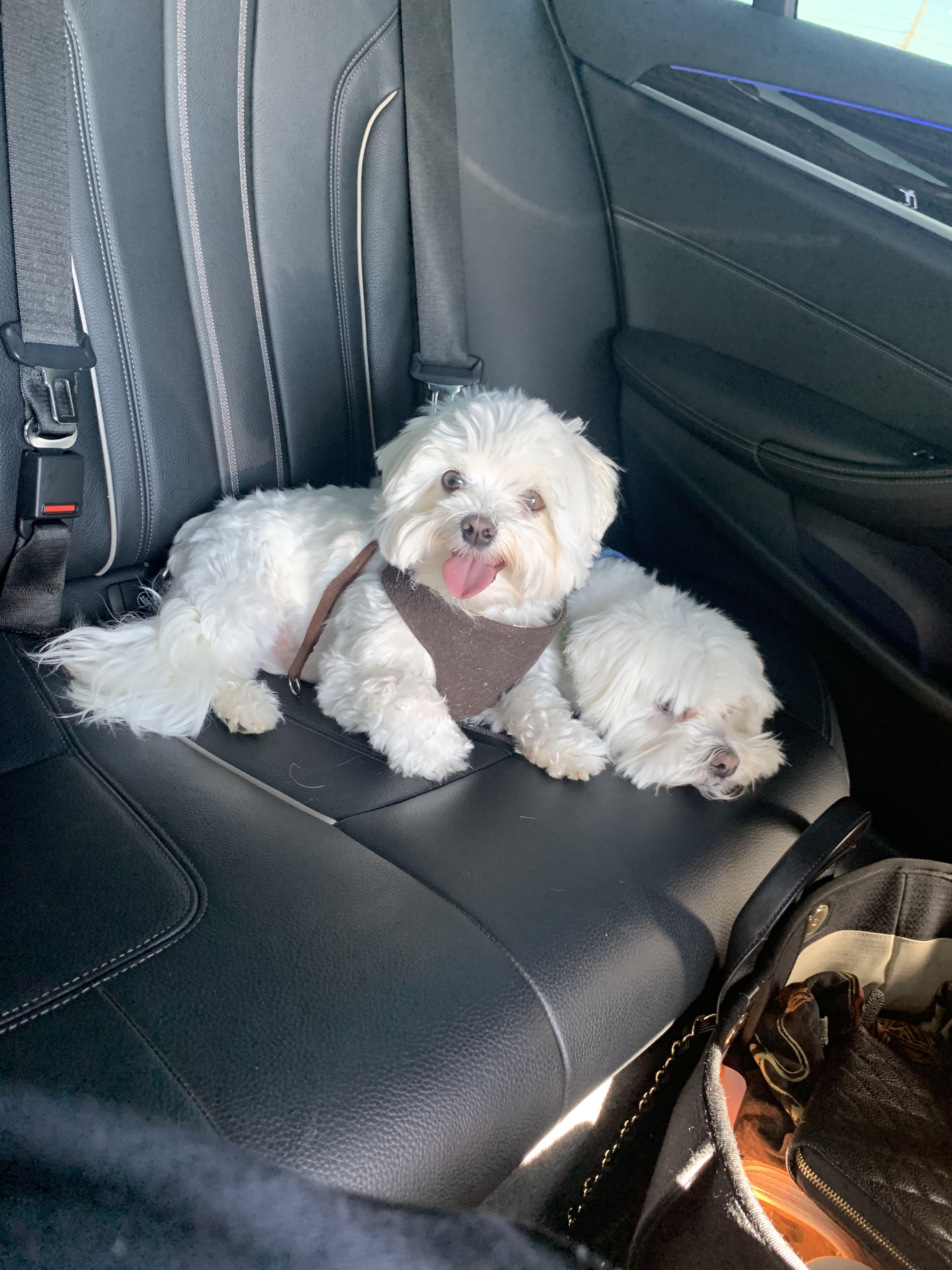 My little chunker Theodore | Scrolller