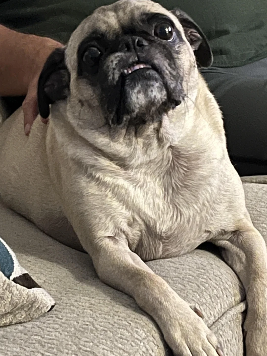 el conchito is my old pal | Scrolller