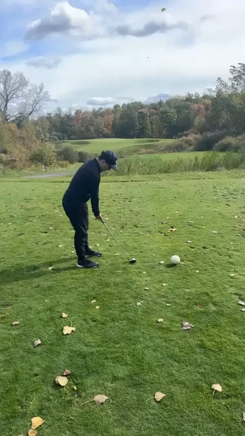 Any swing help?? | Scrolller