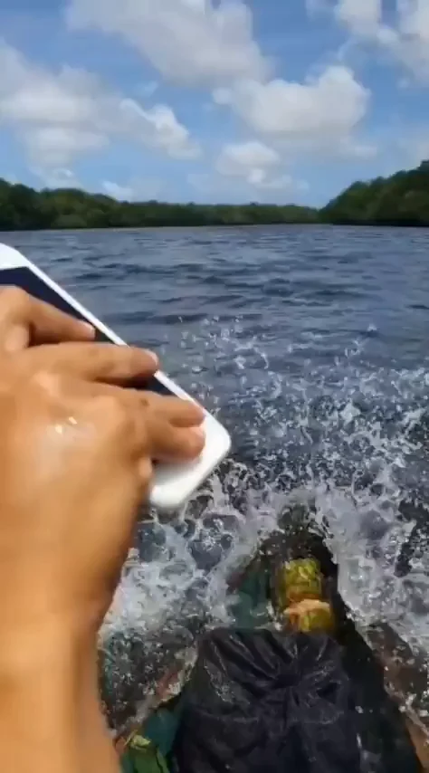 Mission ended in catastrophe | Scrolller