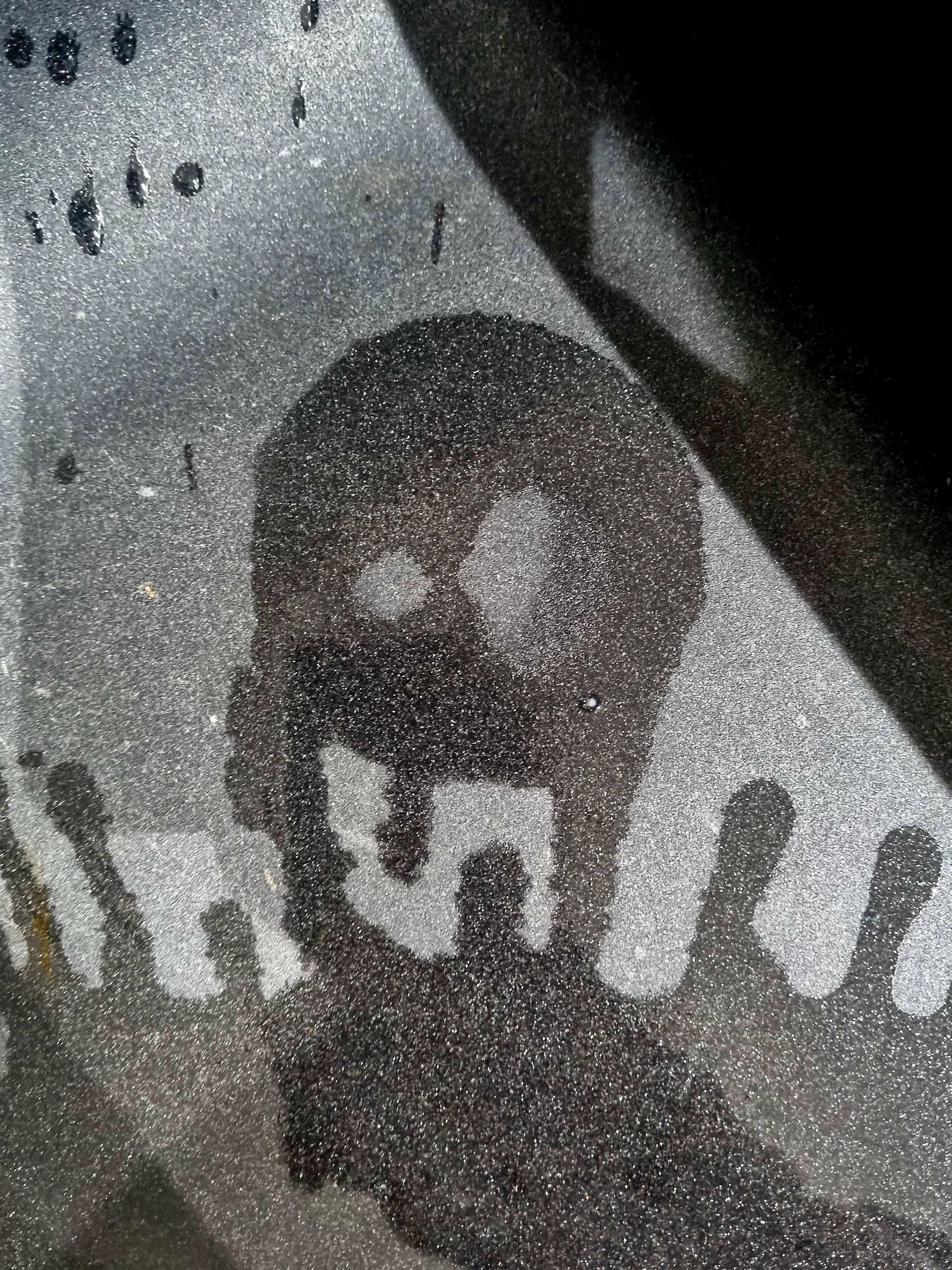 Water splashed in my sink and this fella appeared | Scrolller