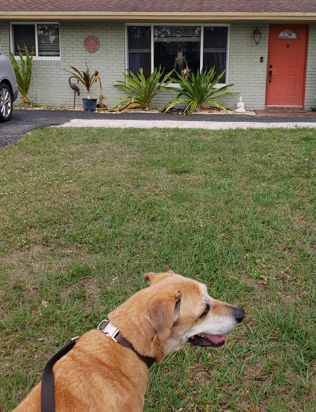 The Haunting of Hill House... You'll know when you see it. | Scrolller