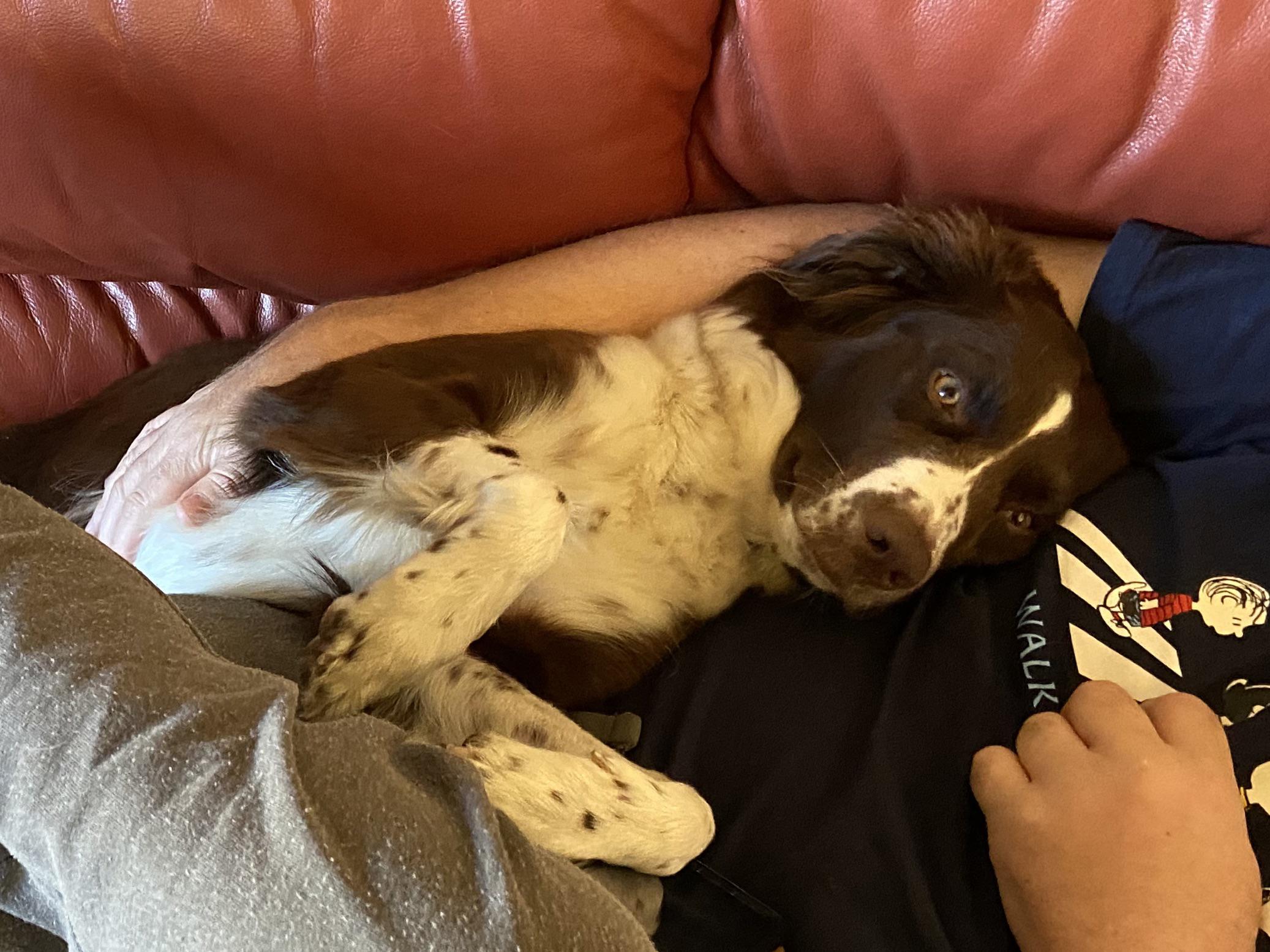 Contemplating her life choices | Scrolller