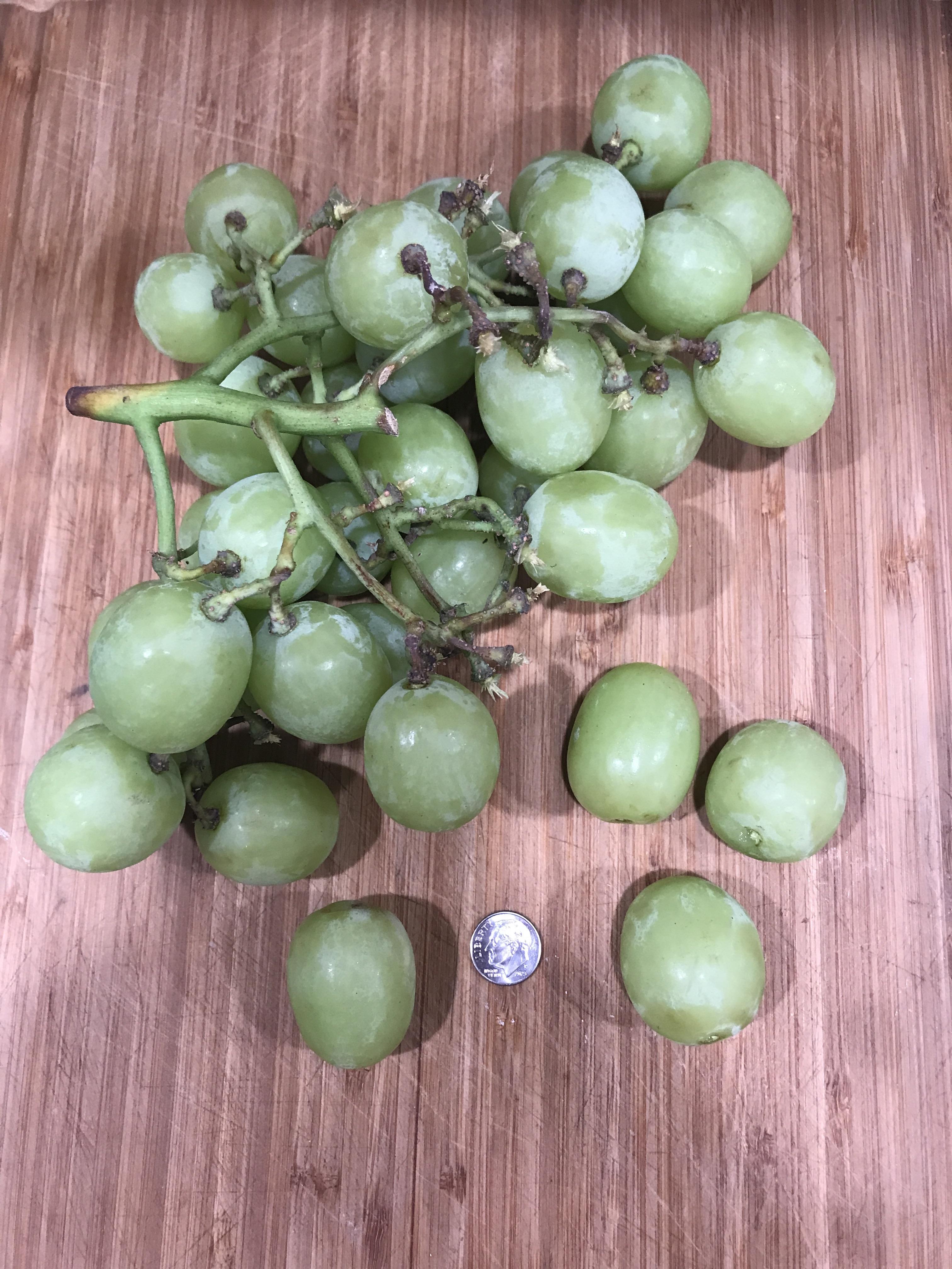 Discover more like Weird: These Grapes in comparison to a dime and Related Content | Scrolller