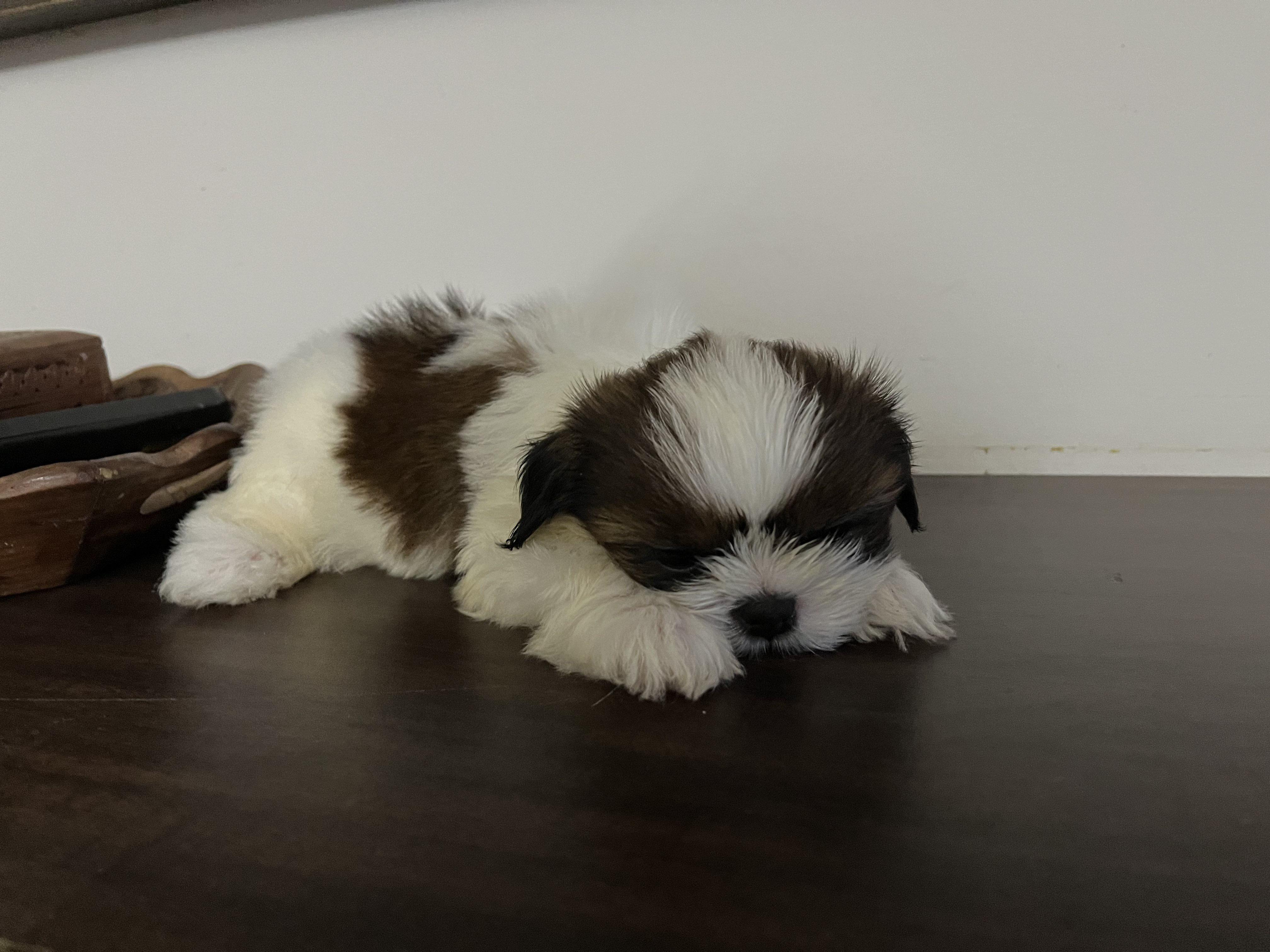 Need help with naming my little girl | Scrolller