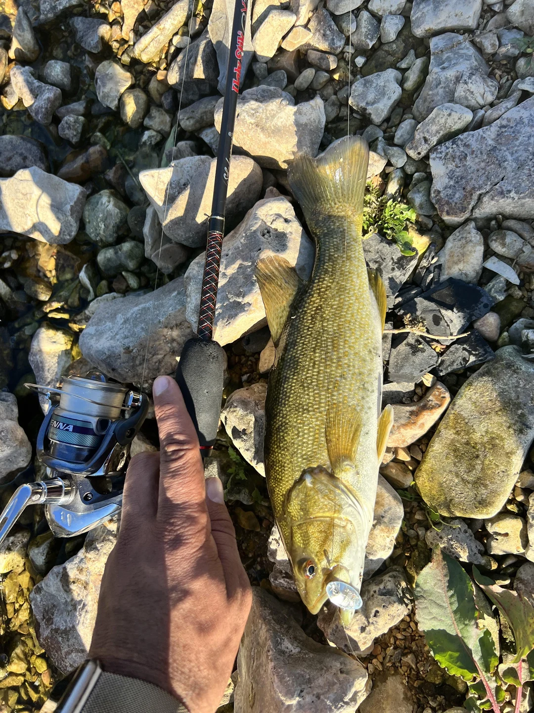 Sometimes it’s worth getting lost with a rod. | Scrolller