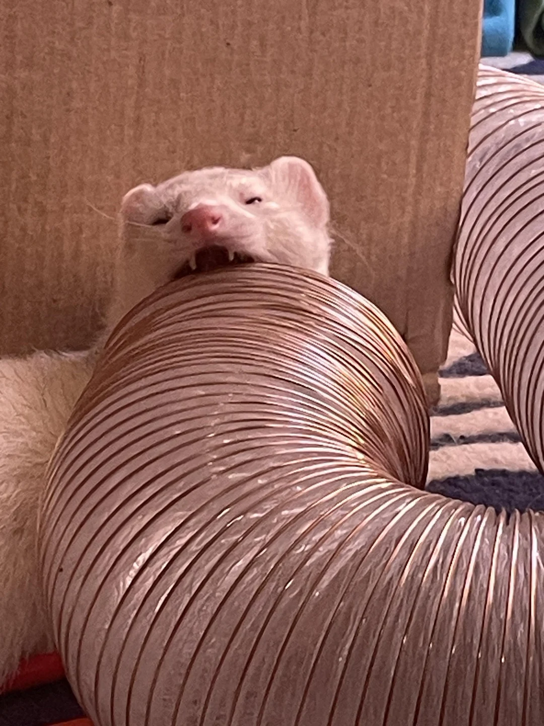 mmmm tube | Scrolller