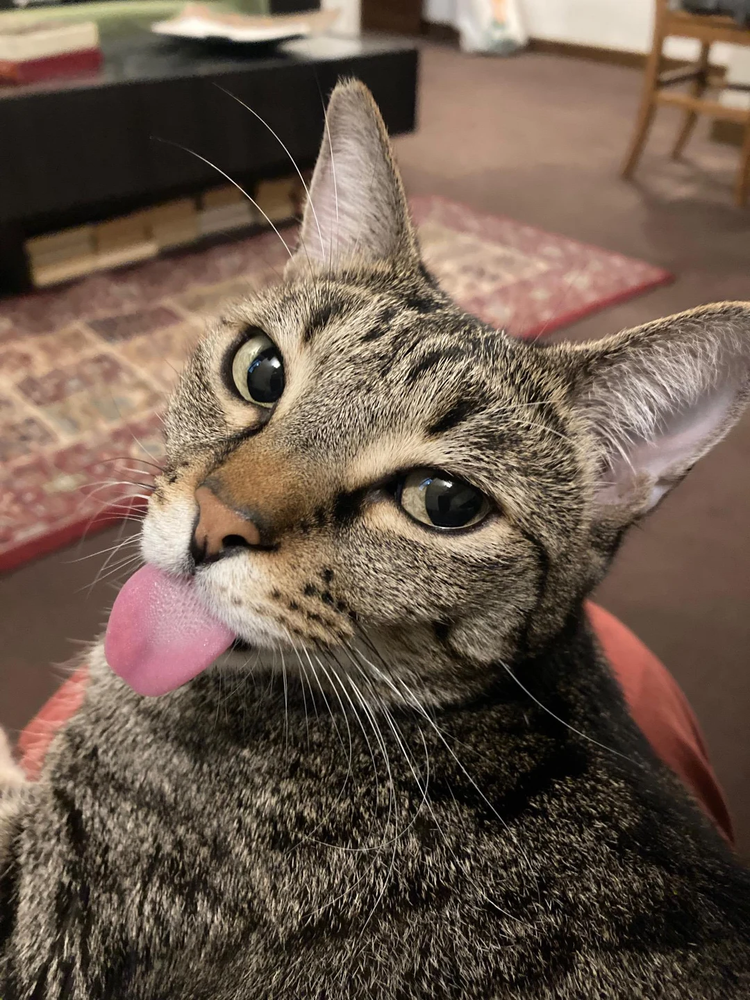 Meet Tia. | Scrolller