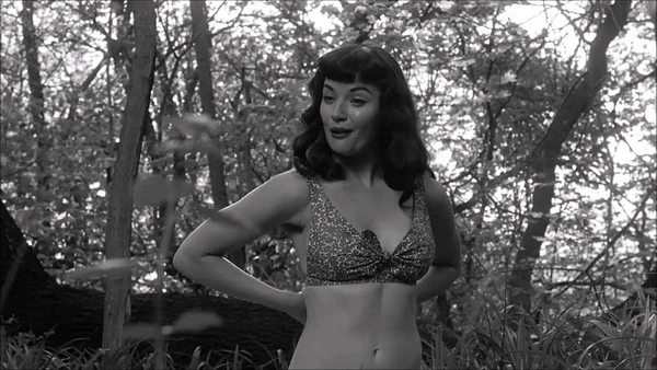 Gretchen Mol | Scrolller