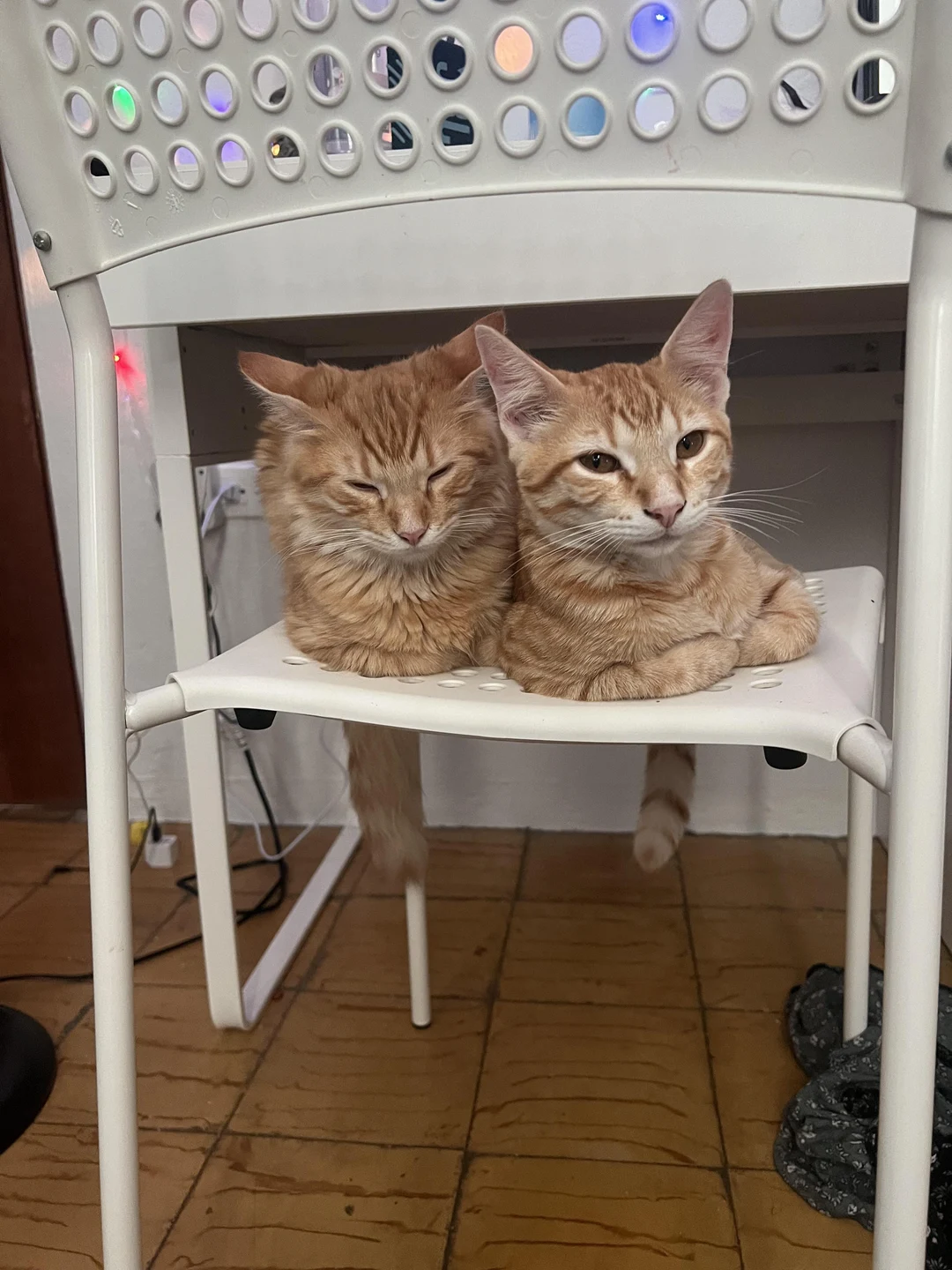 double loaf | Scrolller