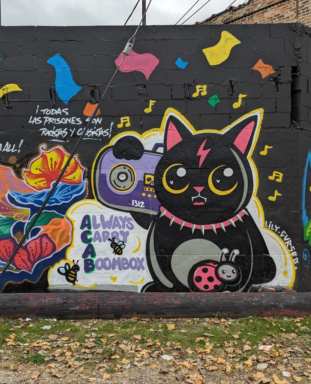 Always Carry A Boombox | Scrolller