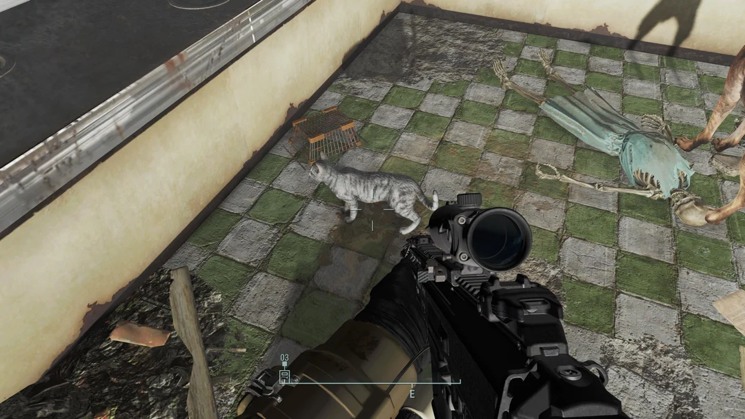 Cats in fallout 4? | Scrolller