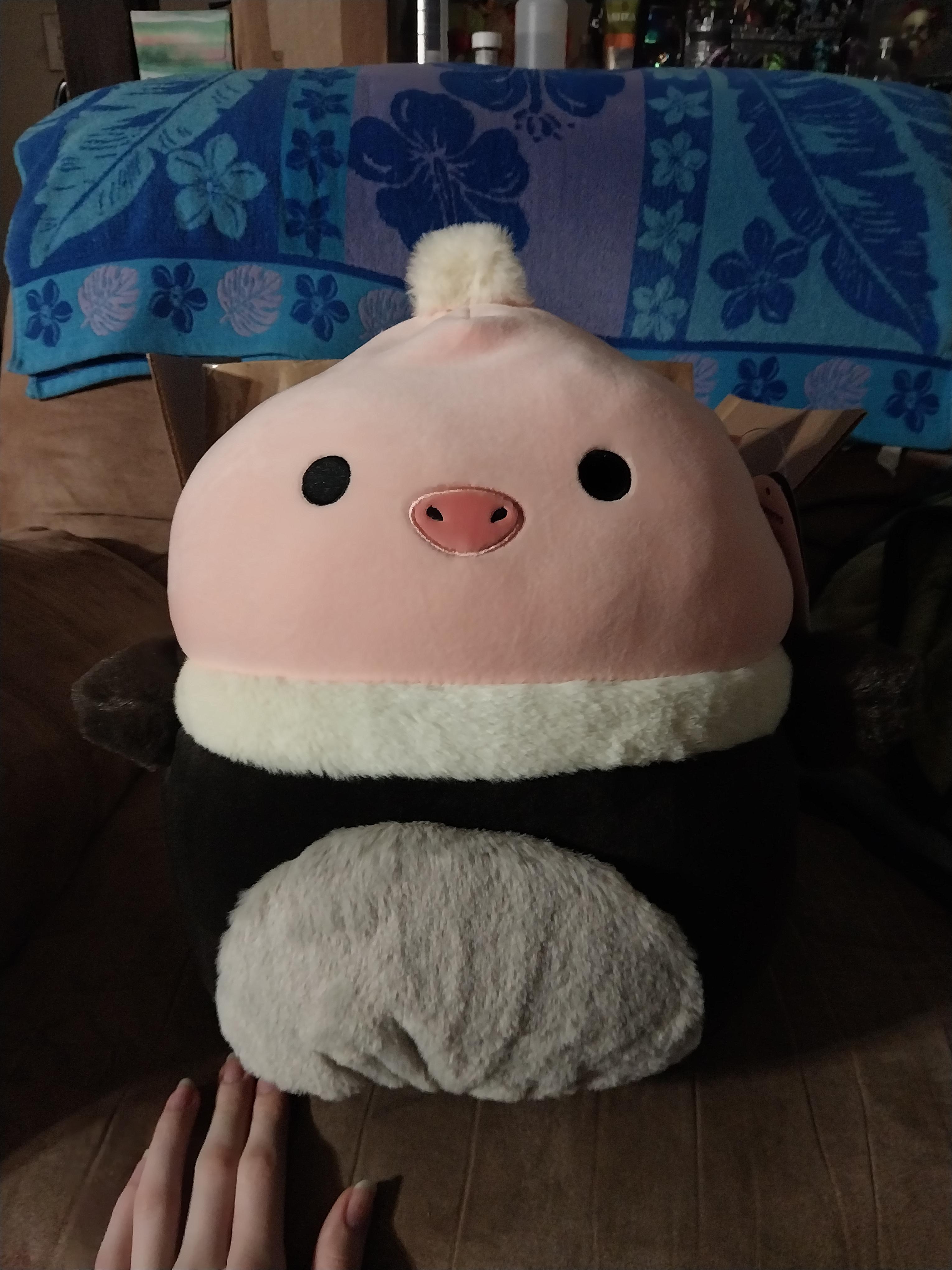Discover more like Squishmallow: I picked up this gal from my mom's ...