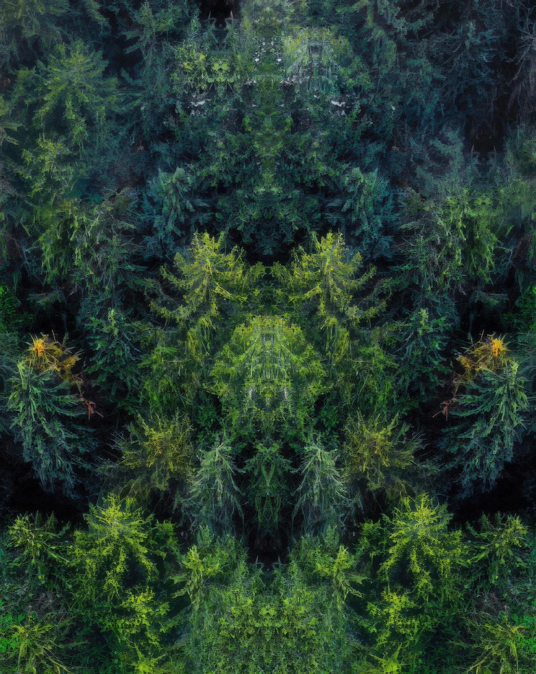 Rorschach this rorschach that, photoshop cs6, careychancejohnson | Scrolller