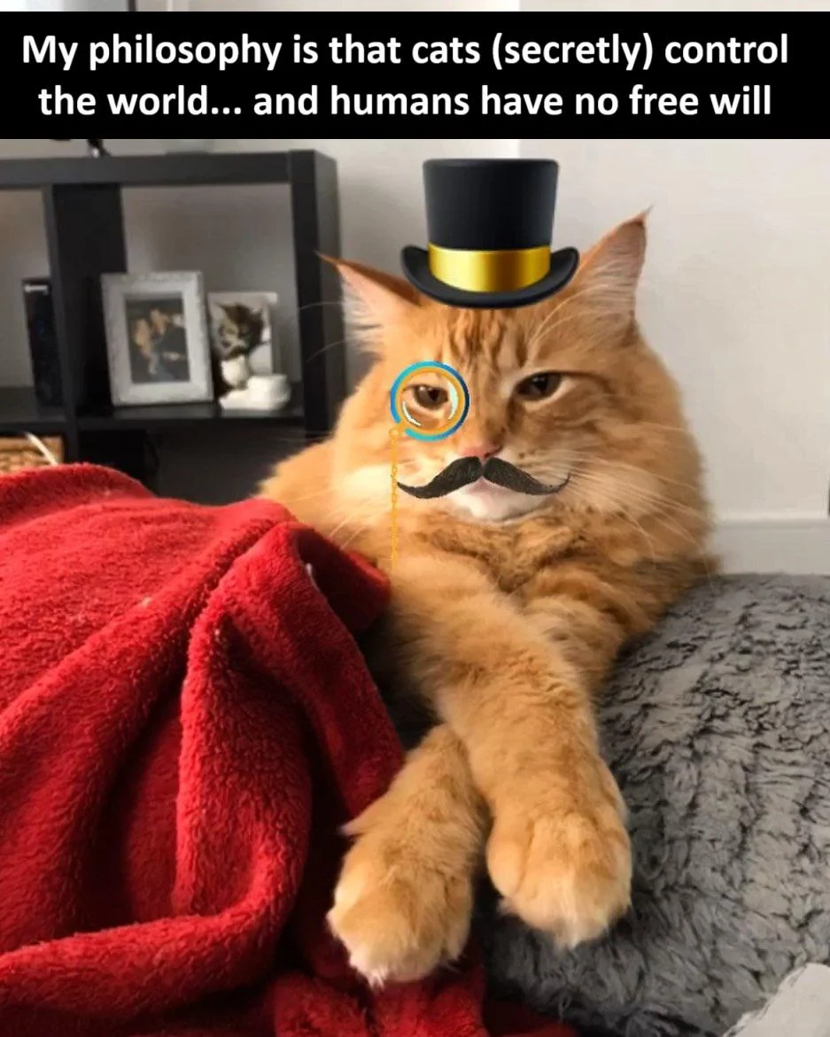 My philosophy is: | Scrolller