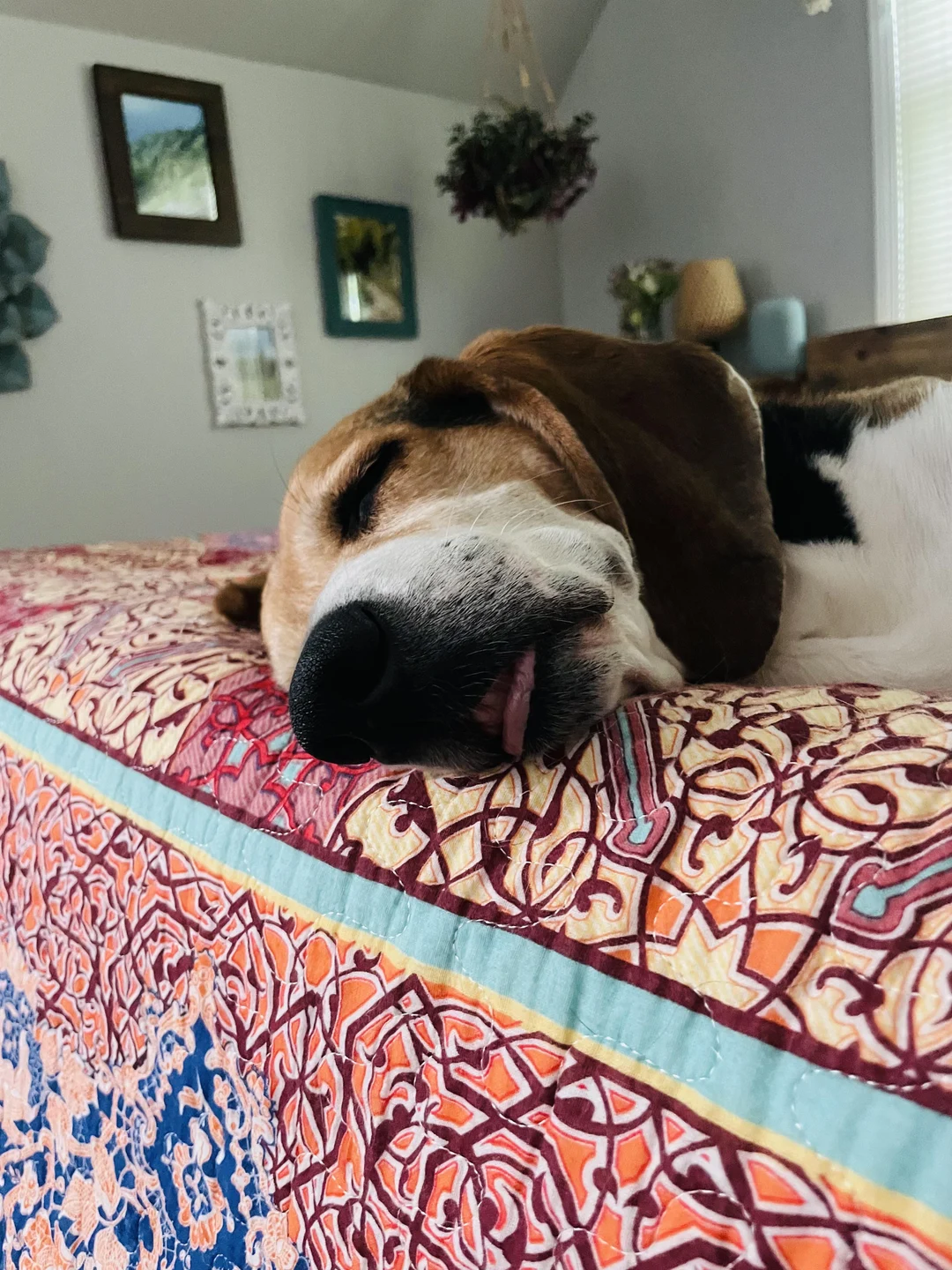 Dream Land Derp | Scrolller