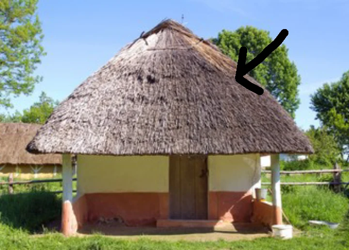 Is there a way to create the thatched grass on the hut | Scrolller