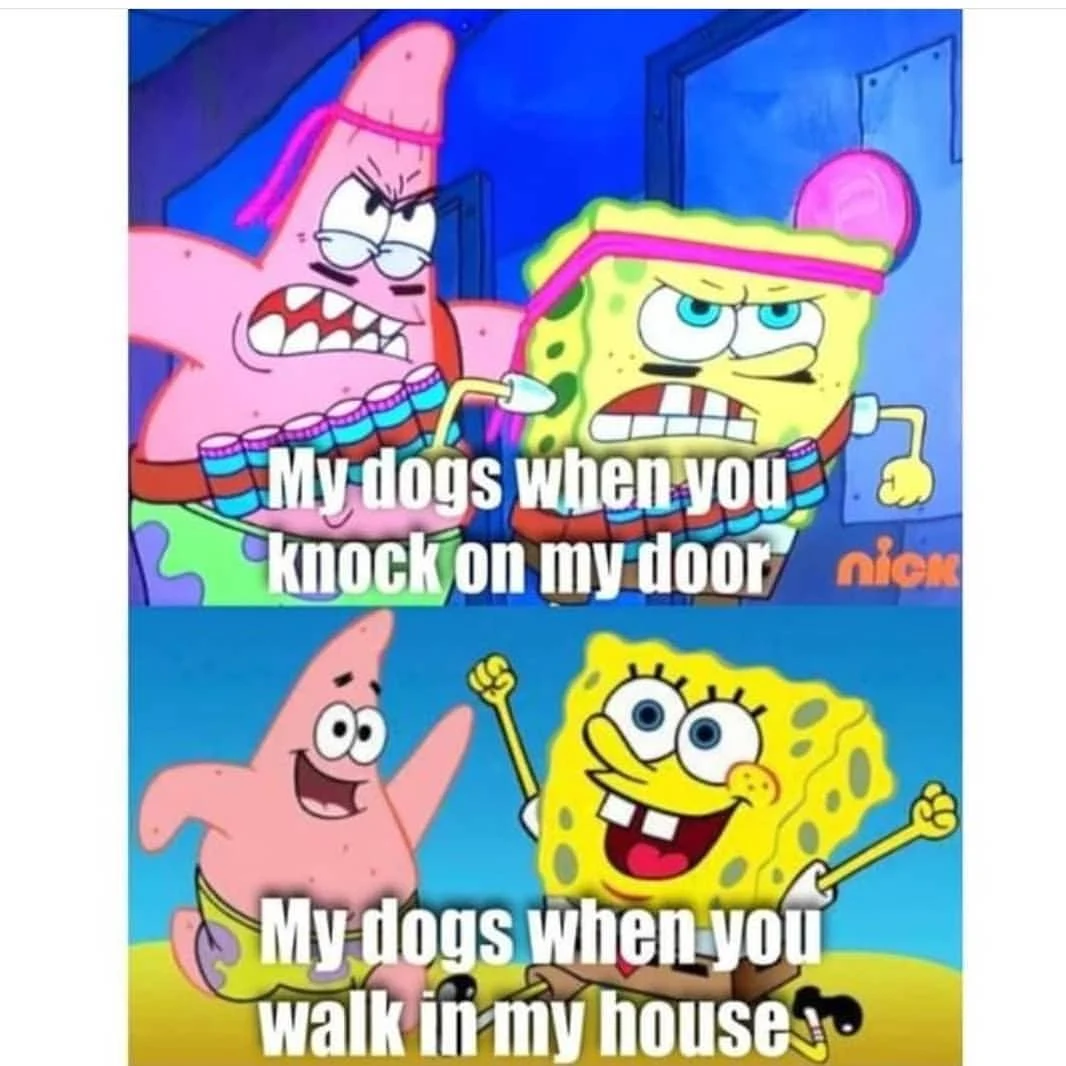 dogs are ruthless 😂 | Scrolller