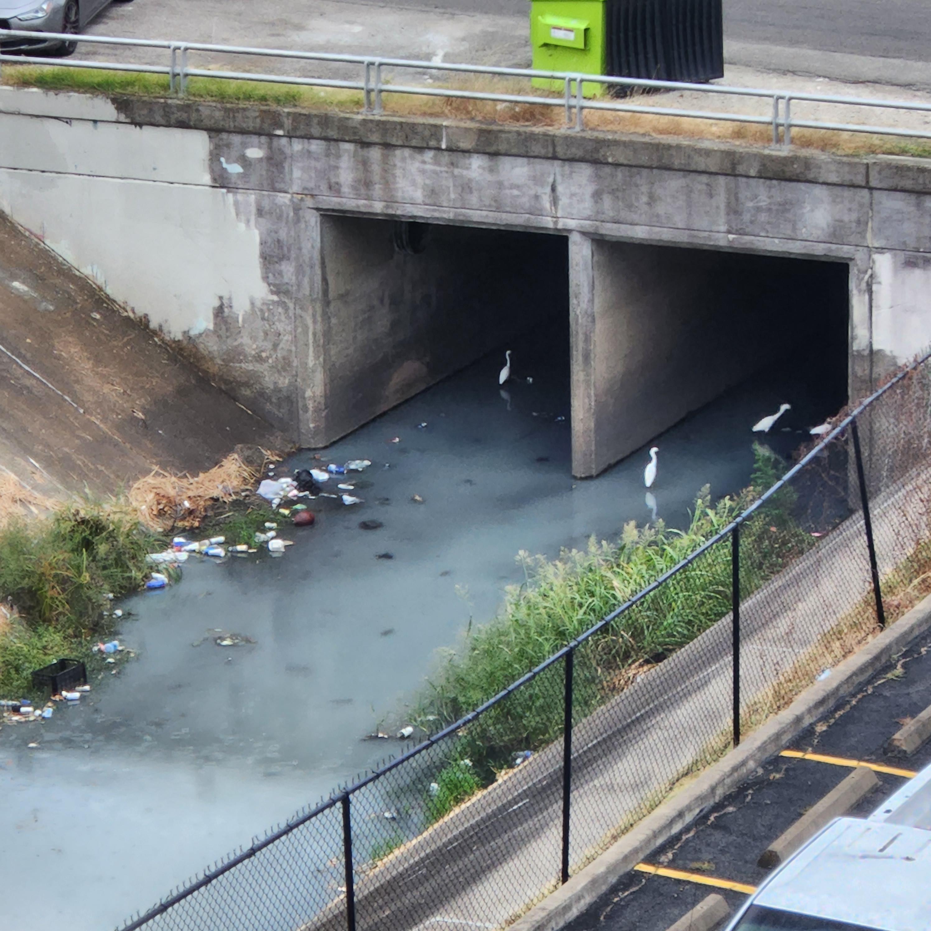 Houston, TX | Scrolller