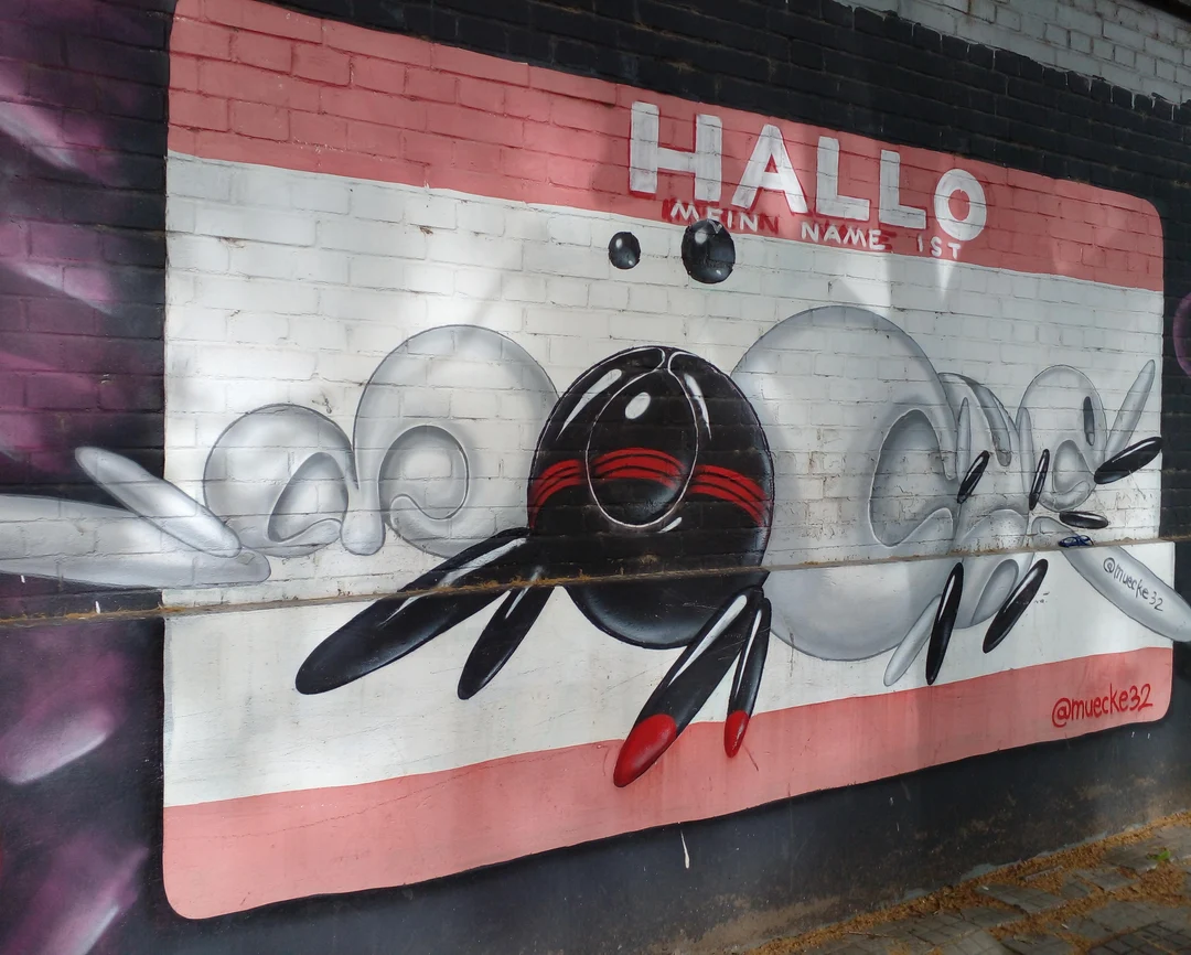 Hallo | Scrolller