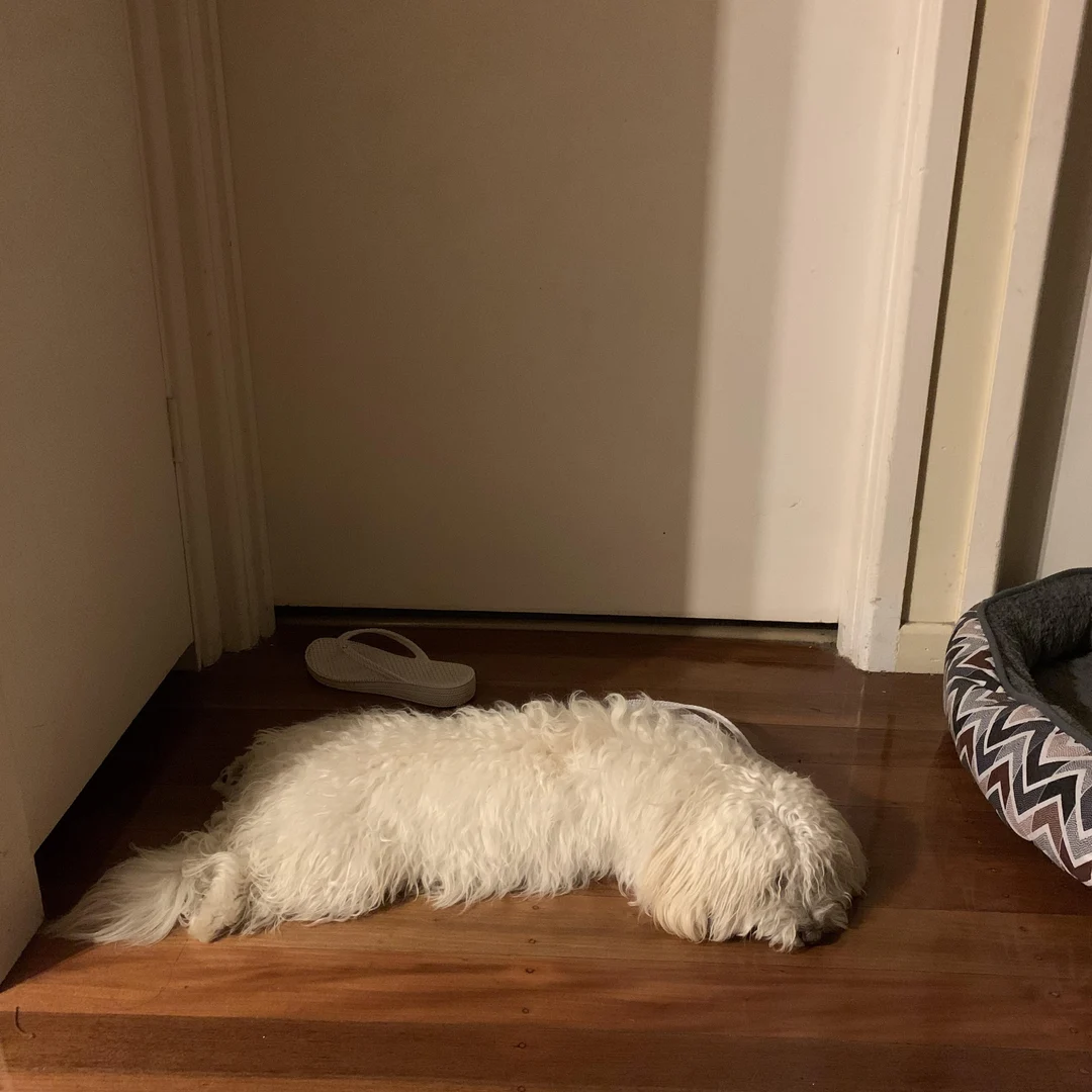 No, it’s not a doormat | Scrolller