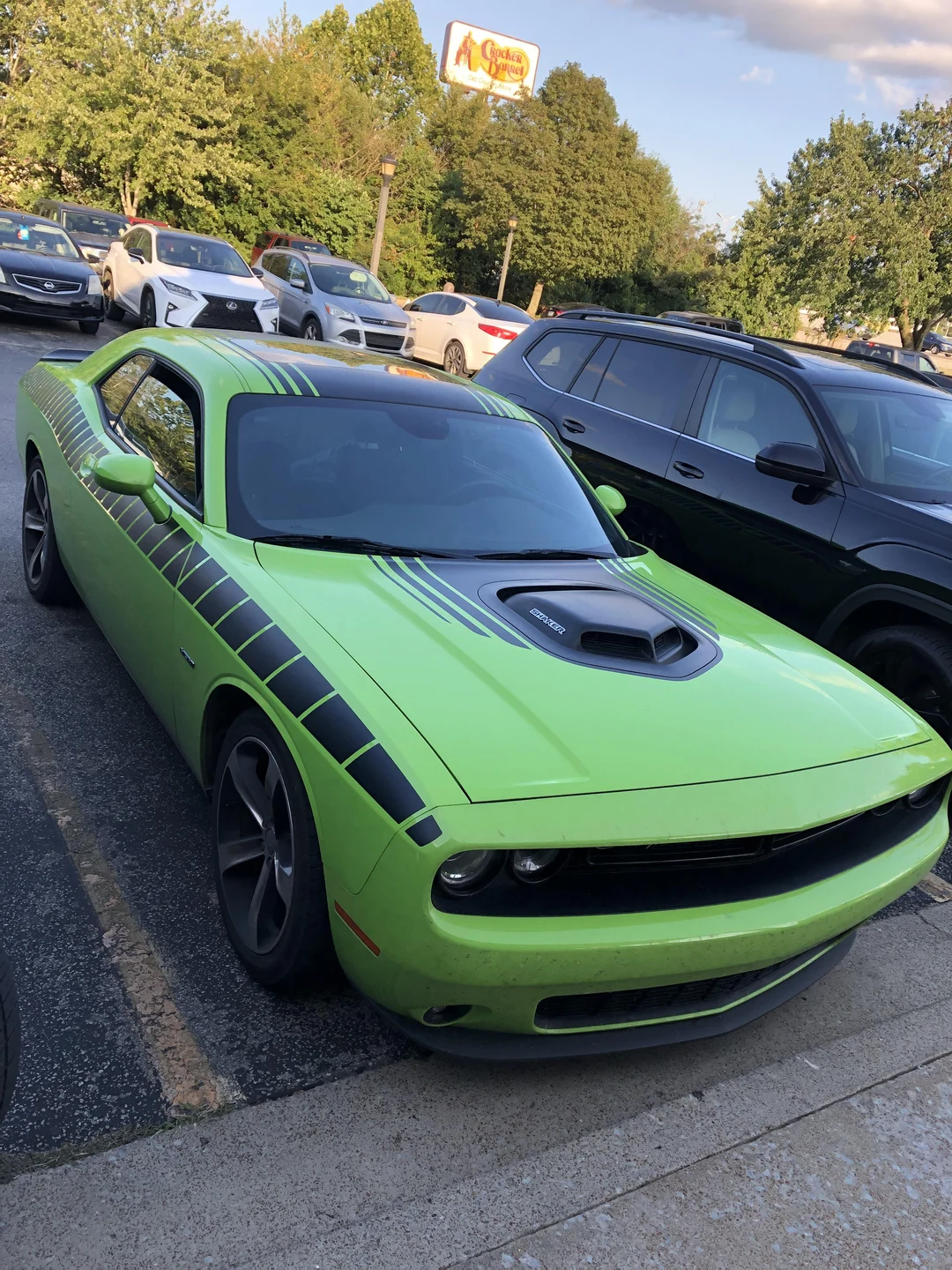 I Love the way this Dodge Challenger Look in Green & Black [1840x1280] | Scrolller