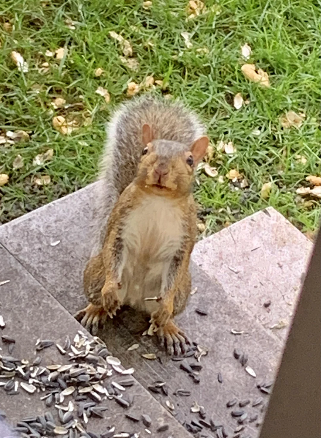 More Please… | Scrolller