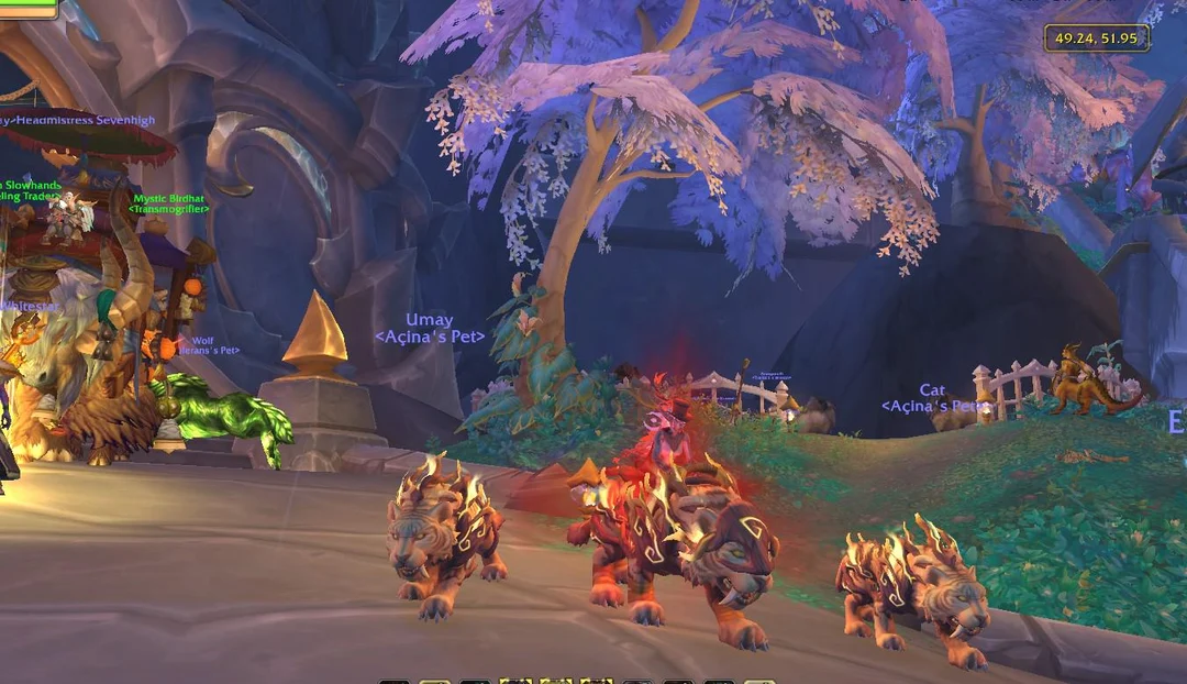 My new pets with matching mount. | Scrolller