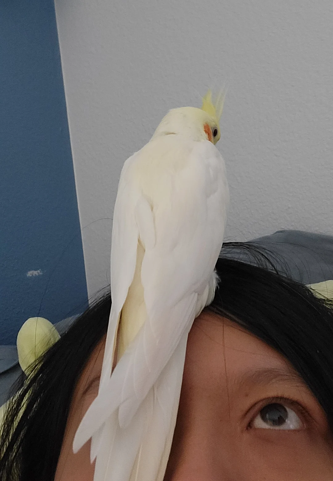 was held hostage. Buttfluff in face and all. | Scrolller