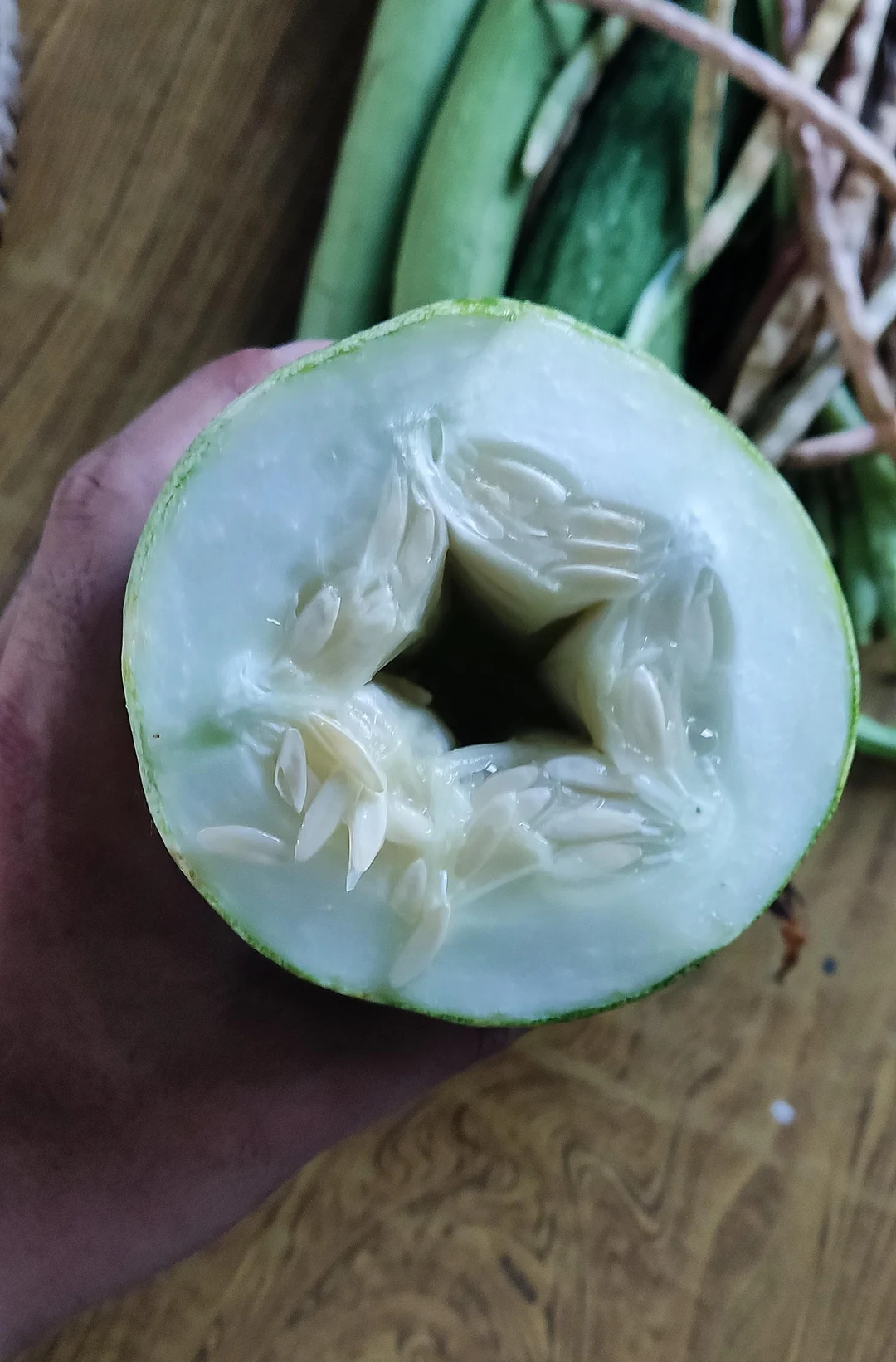 nice and wet cucumber. | Scrolller