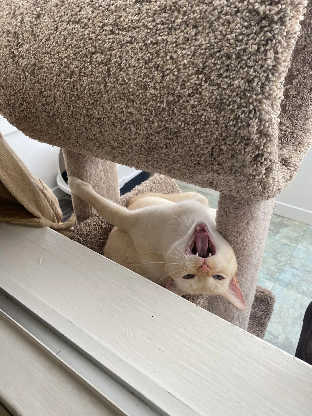 Shit posting | Scrolller