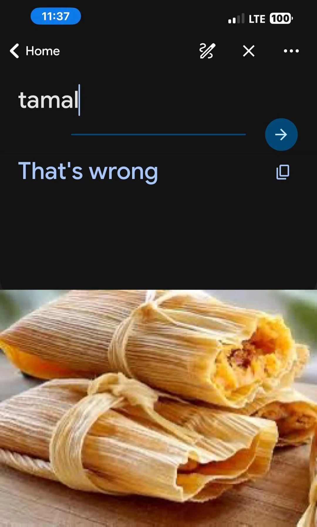 Google translate didn’t disappoint | Scrolller