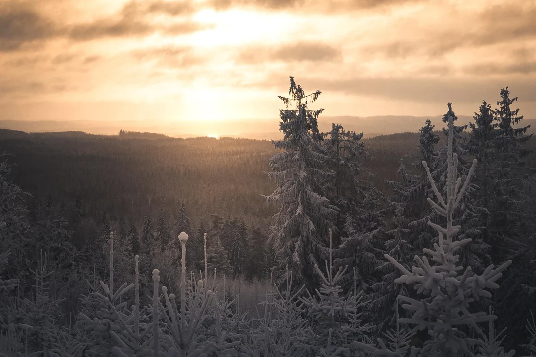 This winter is almost over. Here's one recent sunset. In Central Finland. [OC] | Scrolller