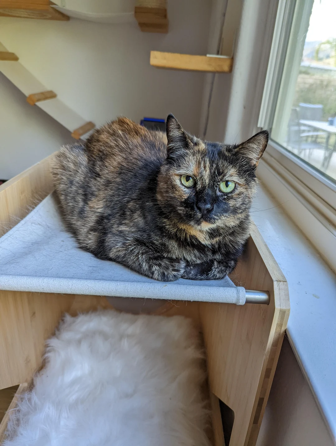 Marbled rye on a cooling rack | Scrolller
