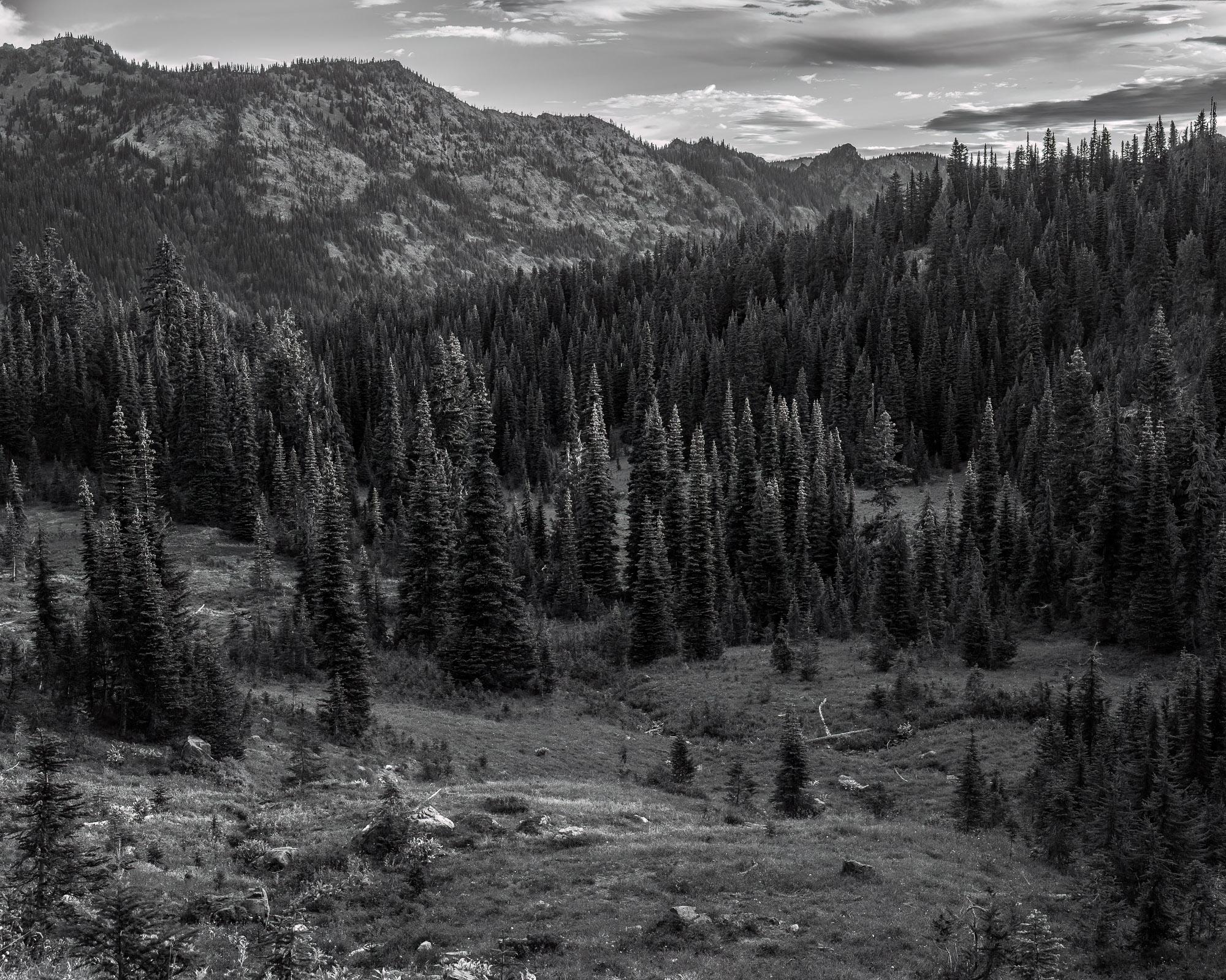 The alpine meadows from late last summer along the Naches Peak Loop trail near Chinook Pass ...