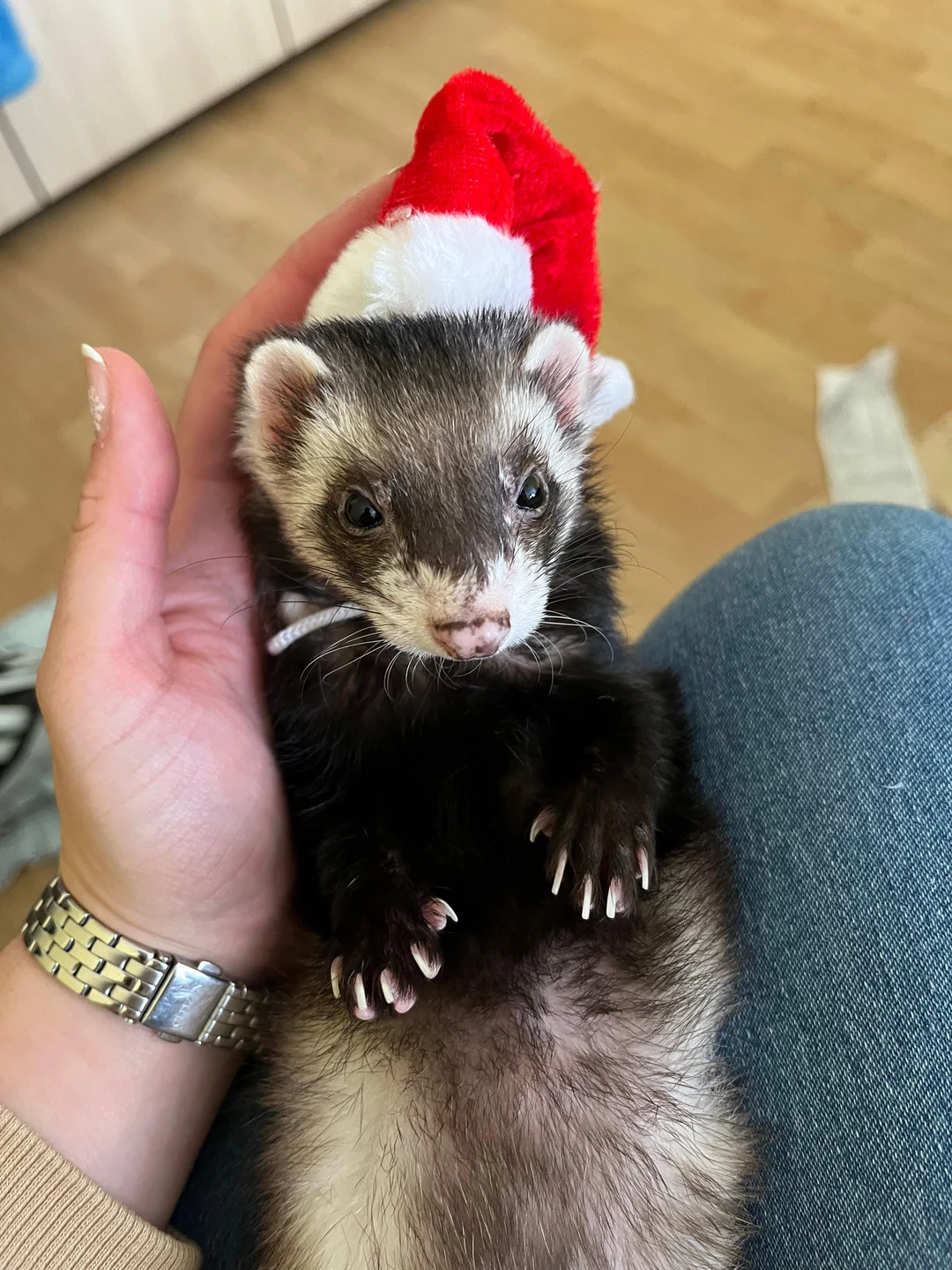 There was no escape | Scrolller