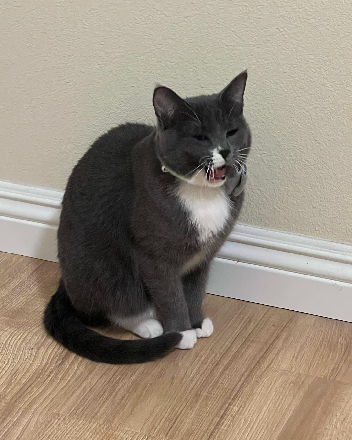 [OC] Sneeze | Scrolller