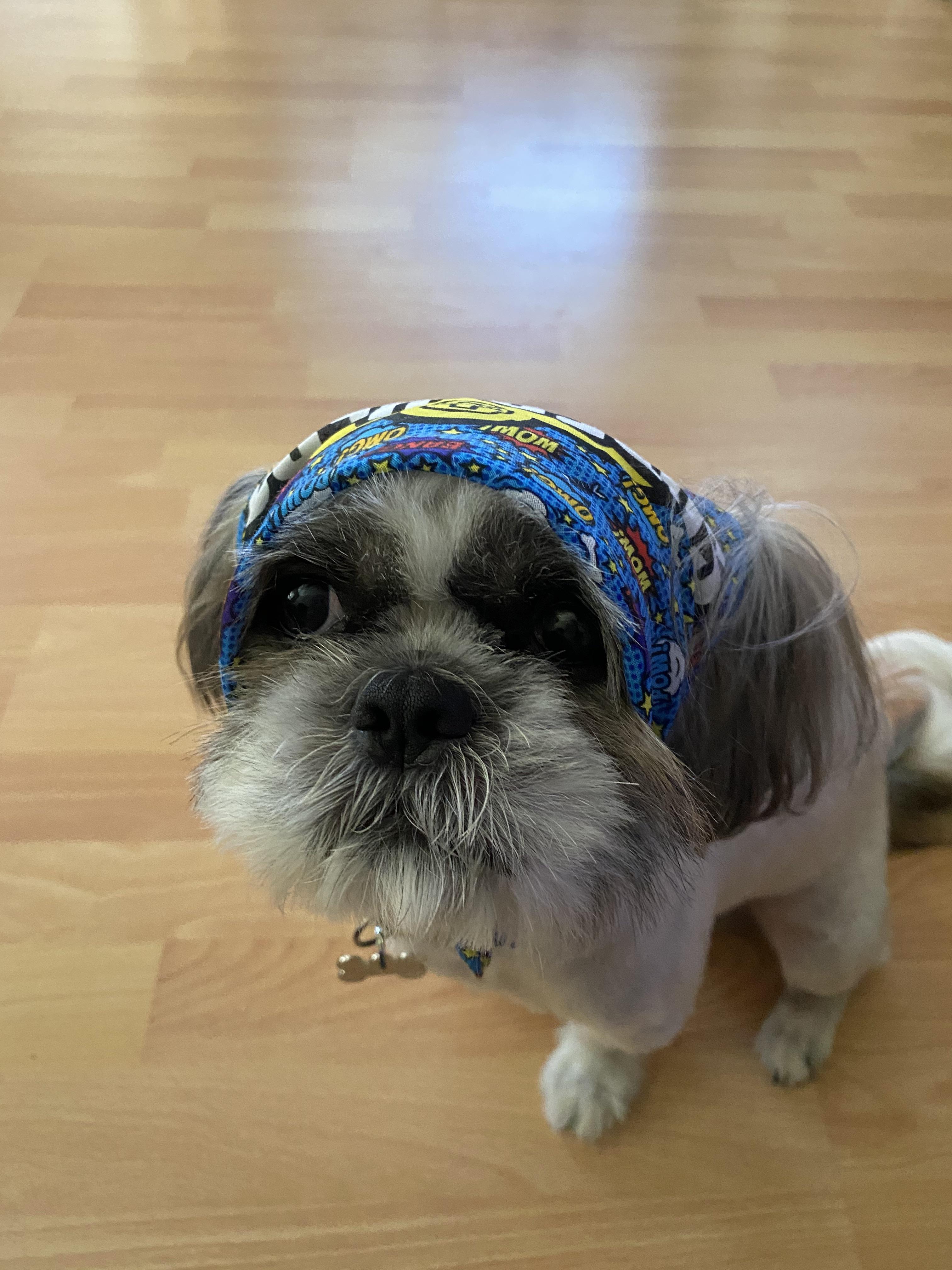 Babushka | Scrolller