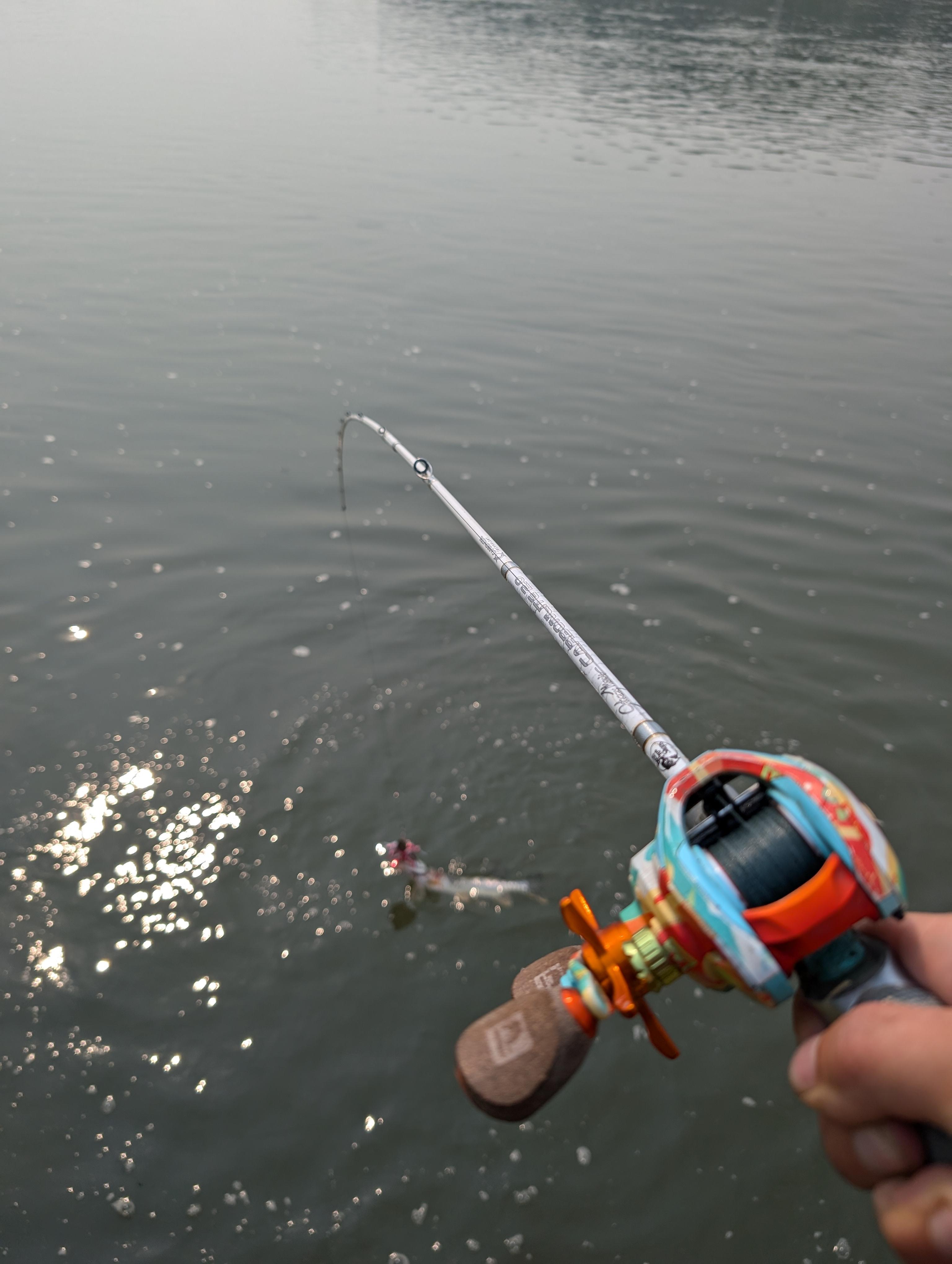 Big lure small fish | Scrolller