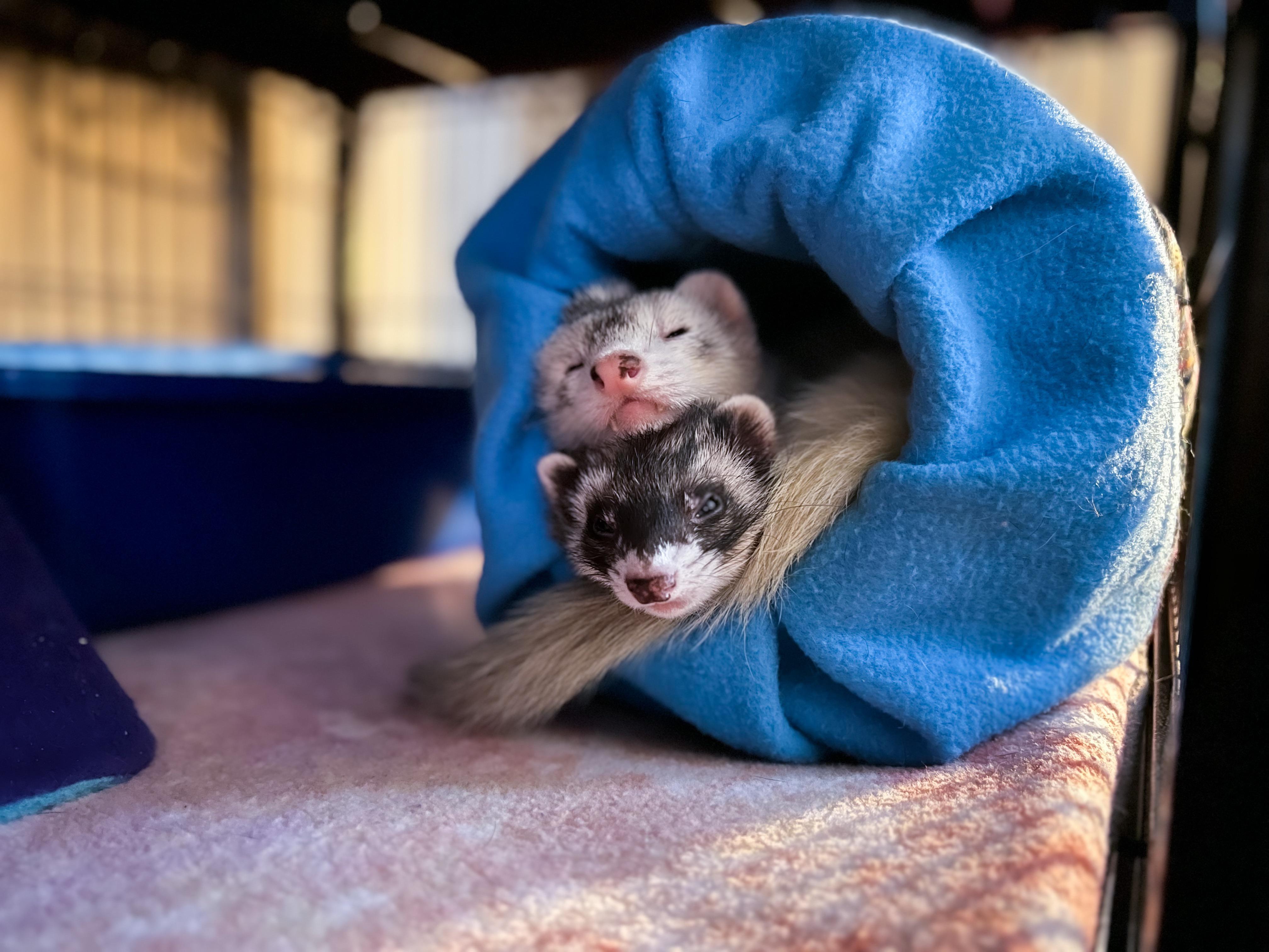 Our Noodles | Scrolller