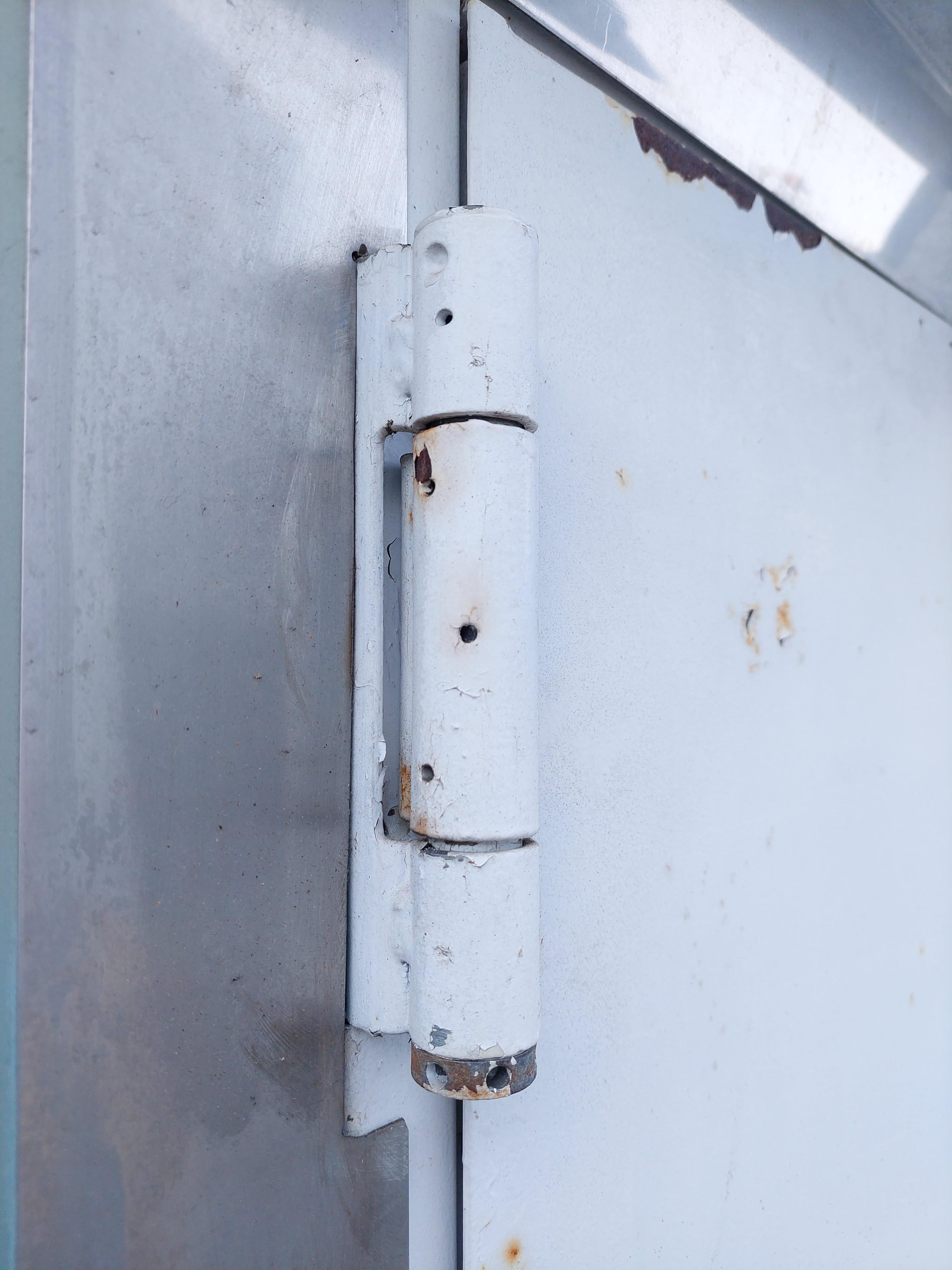 Does anyone know how to remove the door from its hinges? | Scrolller